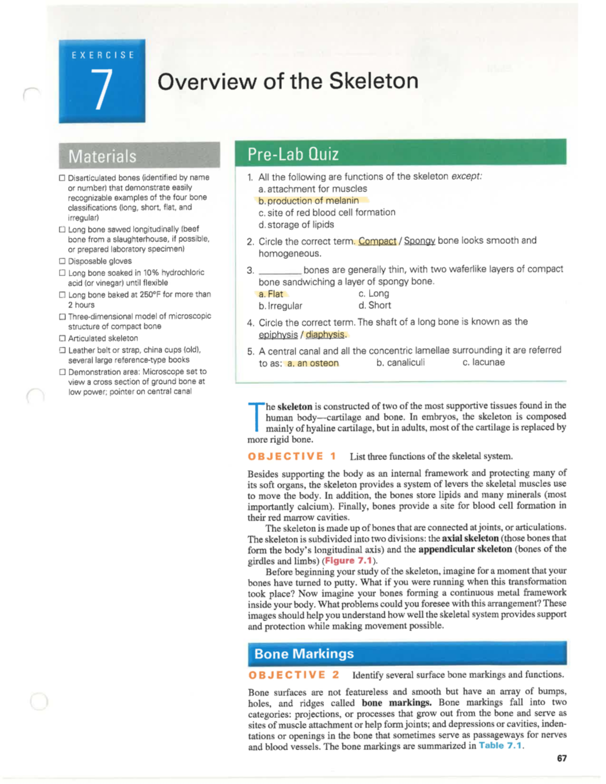 Skeletal System Lab 5: Anatomy of the Skeleton Overview and Quiz - Studocu