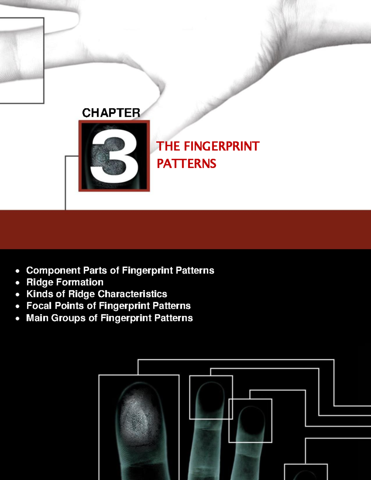Chapter 3: Understanding Fingerprint Patterns and Their Characteristics - Studocu