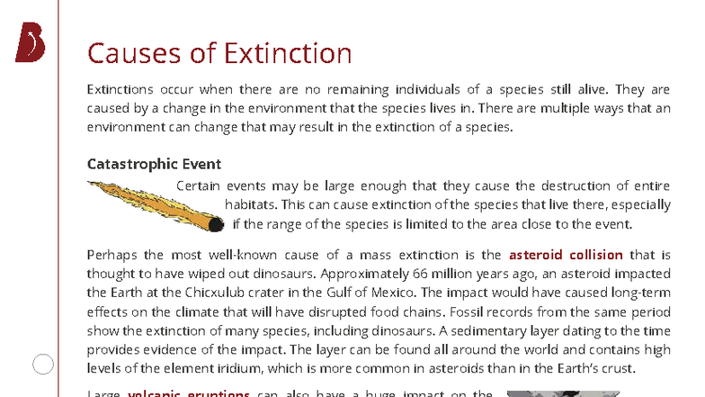 Causes of Extinction: Environmental Changes and Impacts - Studocu