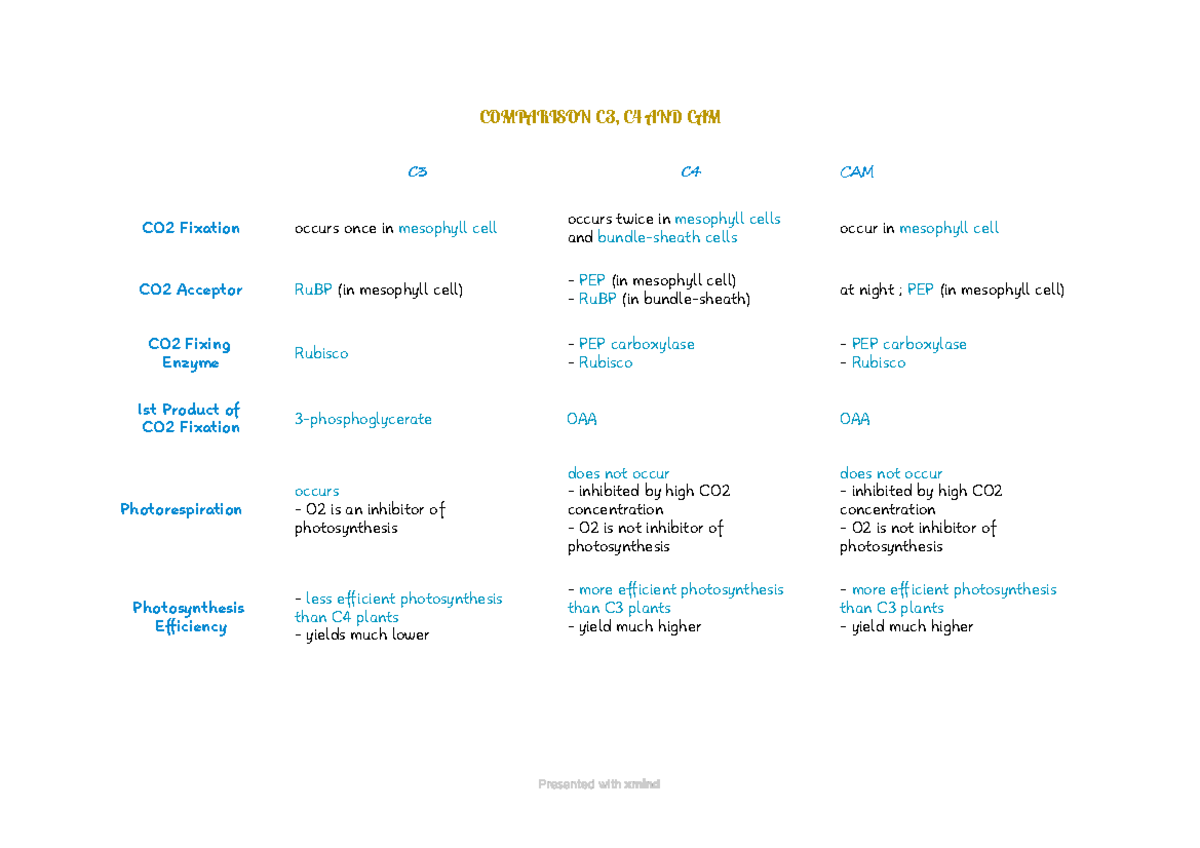 C3, C4, and CAM Pathway Comparison - Mind Map Analysis - Studocu