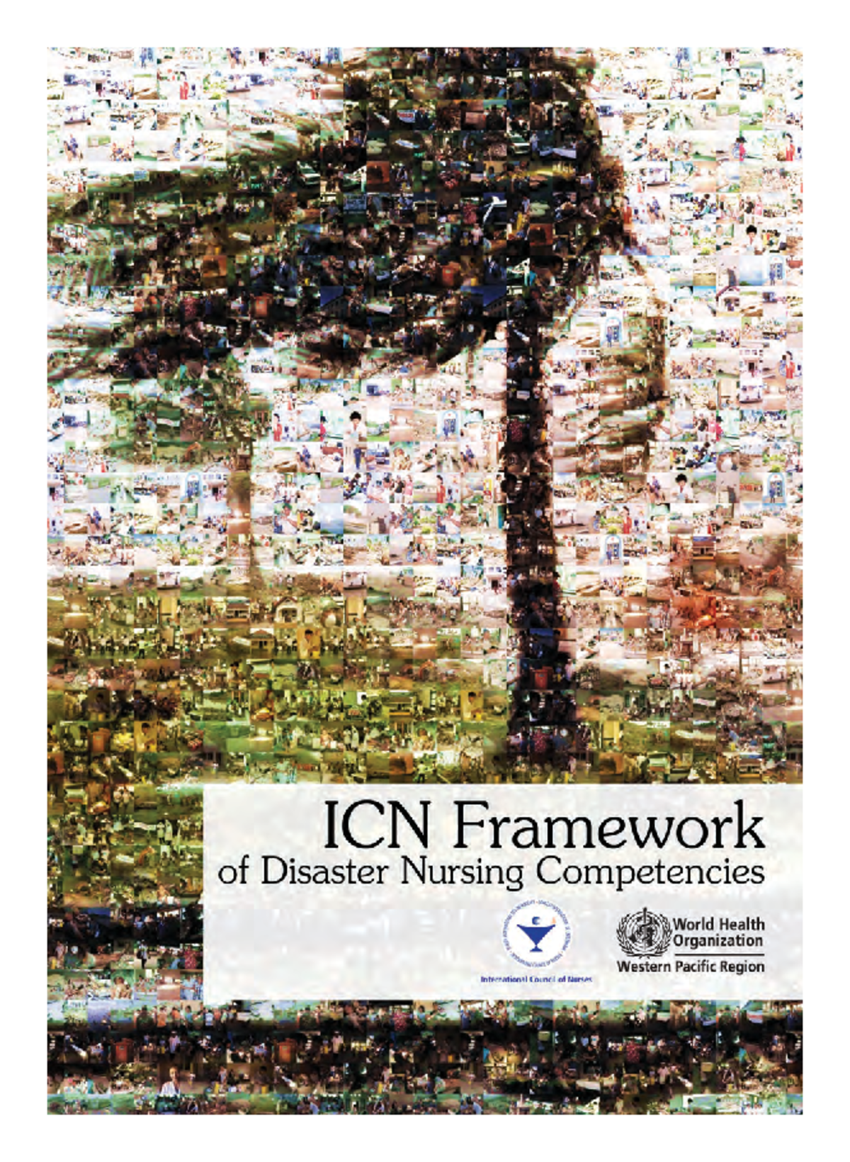 ICN 2009 Framework for Disaster Nursing Competencies: A Comprehensive ...
