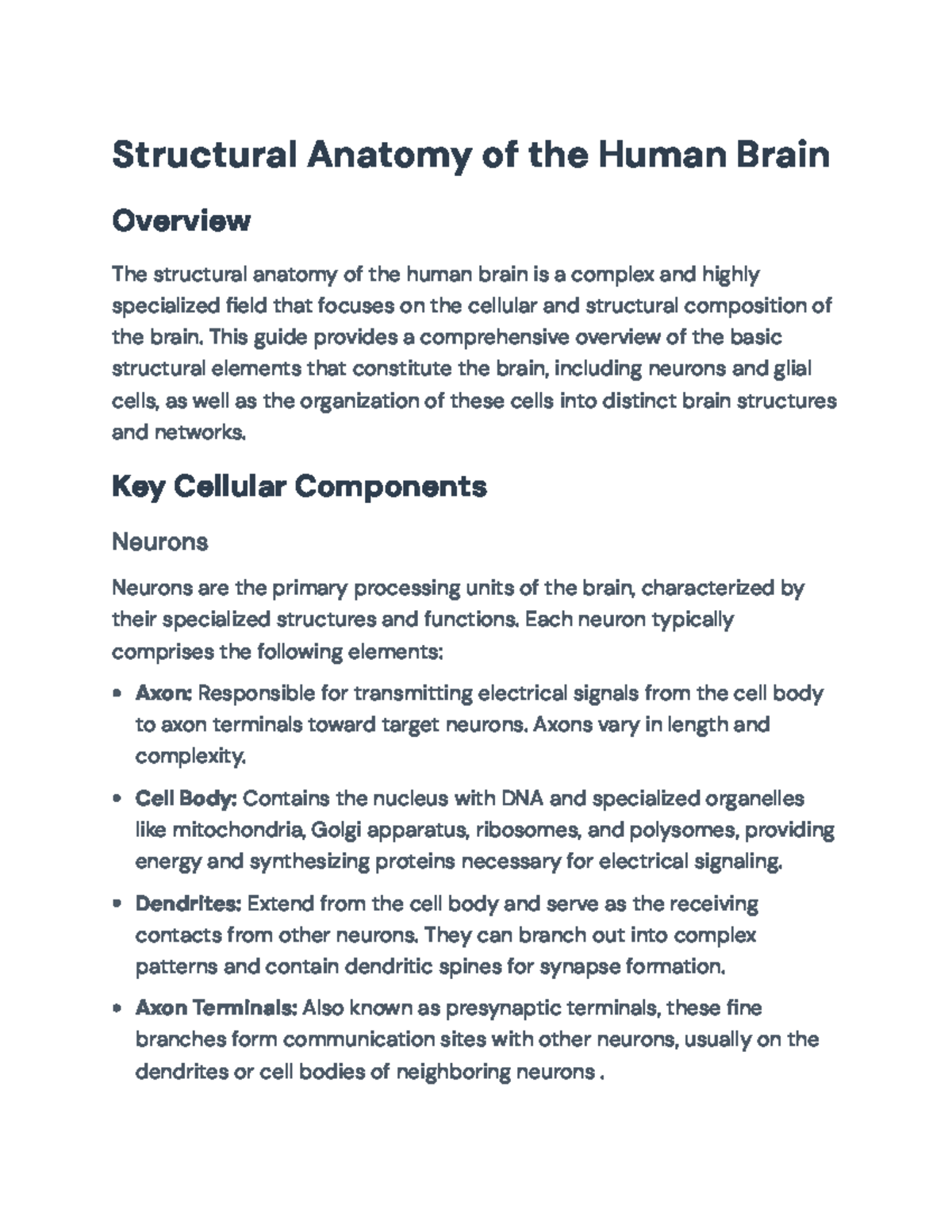 Structural Anatomy of the Human Brain: Key Components Overview - Studocu