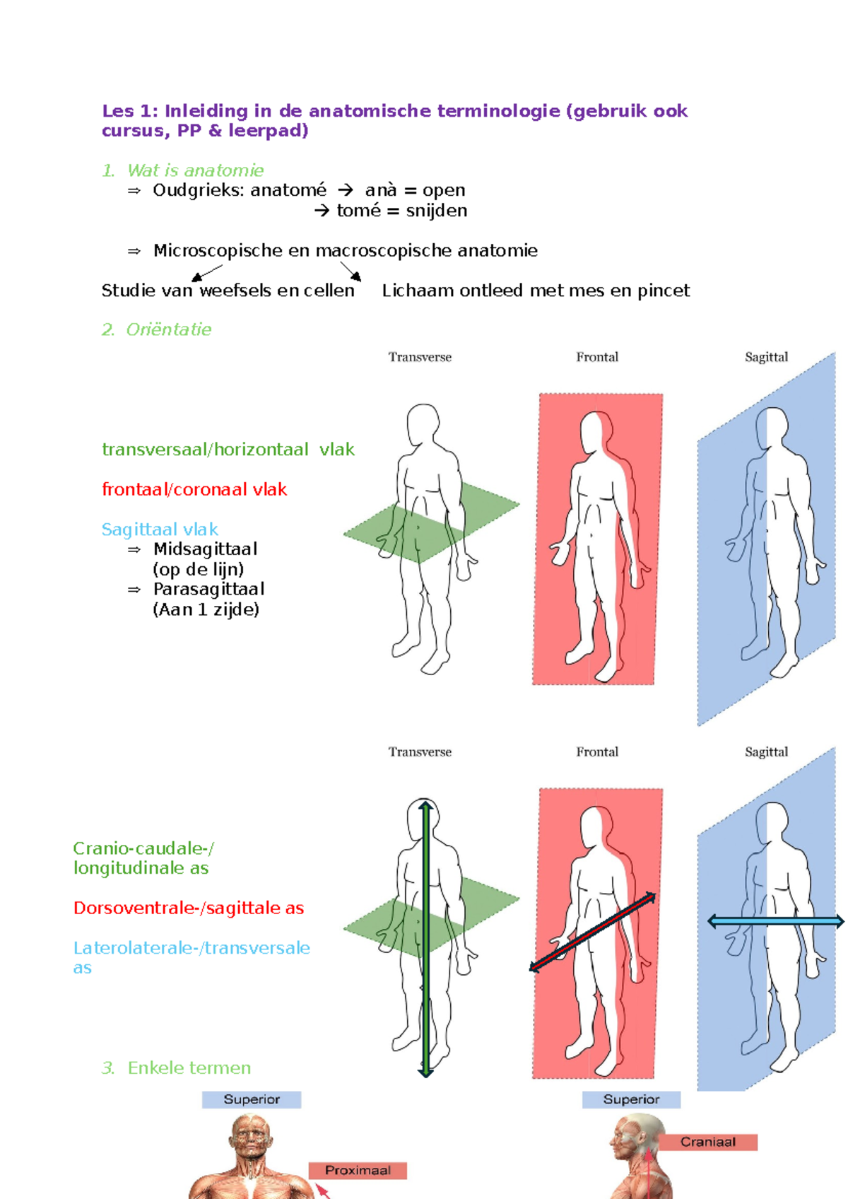 Anatomie HC1 (inleiding terminologie) - Les 1: Inleiding in de ...