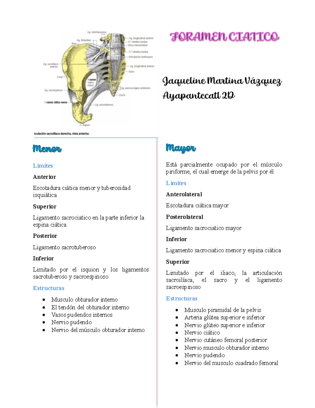 Foramen Ciático: Estructuras en Forámenes Menor y Mayor - Studocu