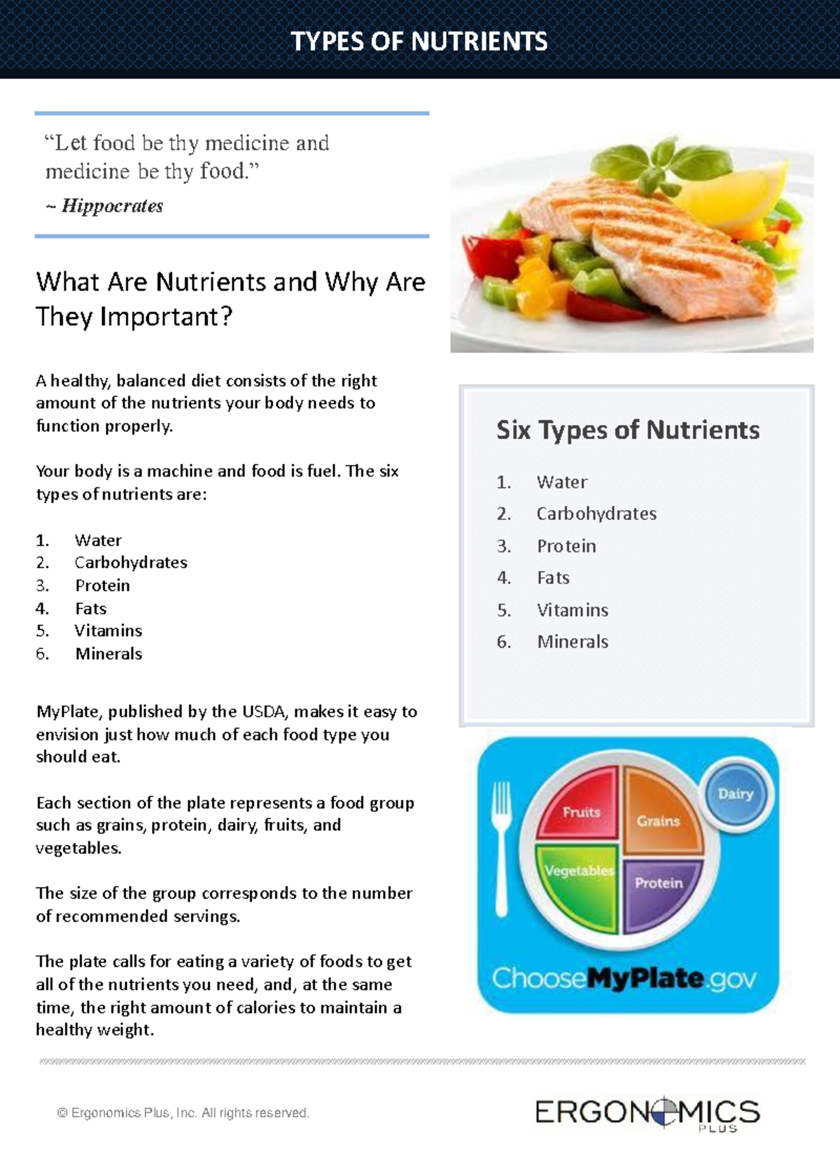 Types of Nutrients: Understanding Essential Nutritional Foundations ...