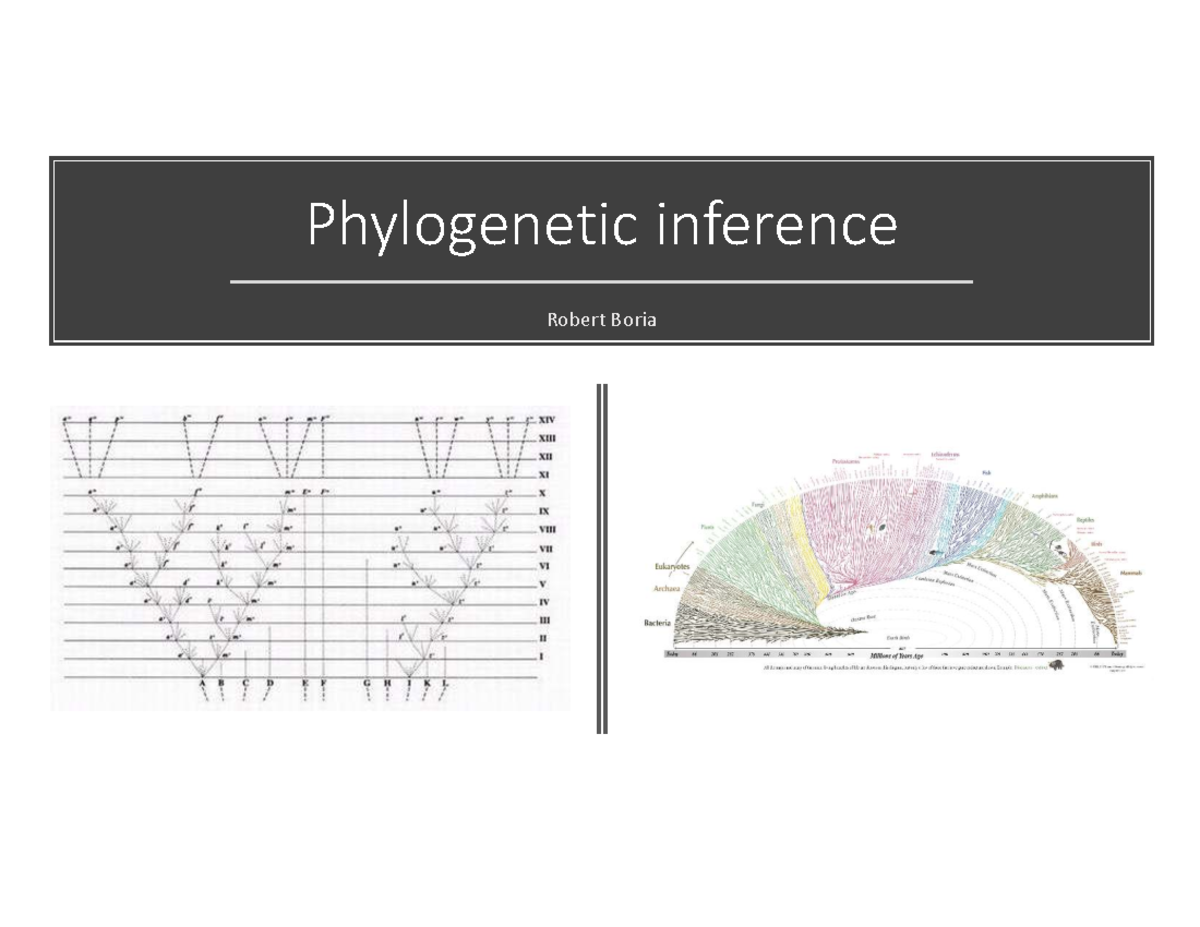 Phylogenetic Inference: Concepts & Approaches - Lecture 8 (Fall 2025 ...