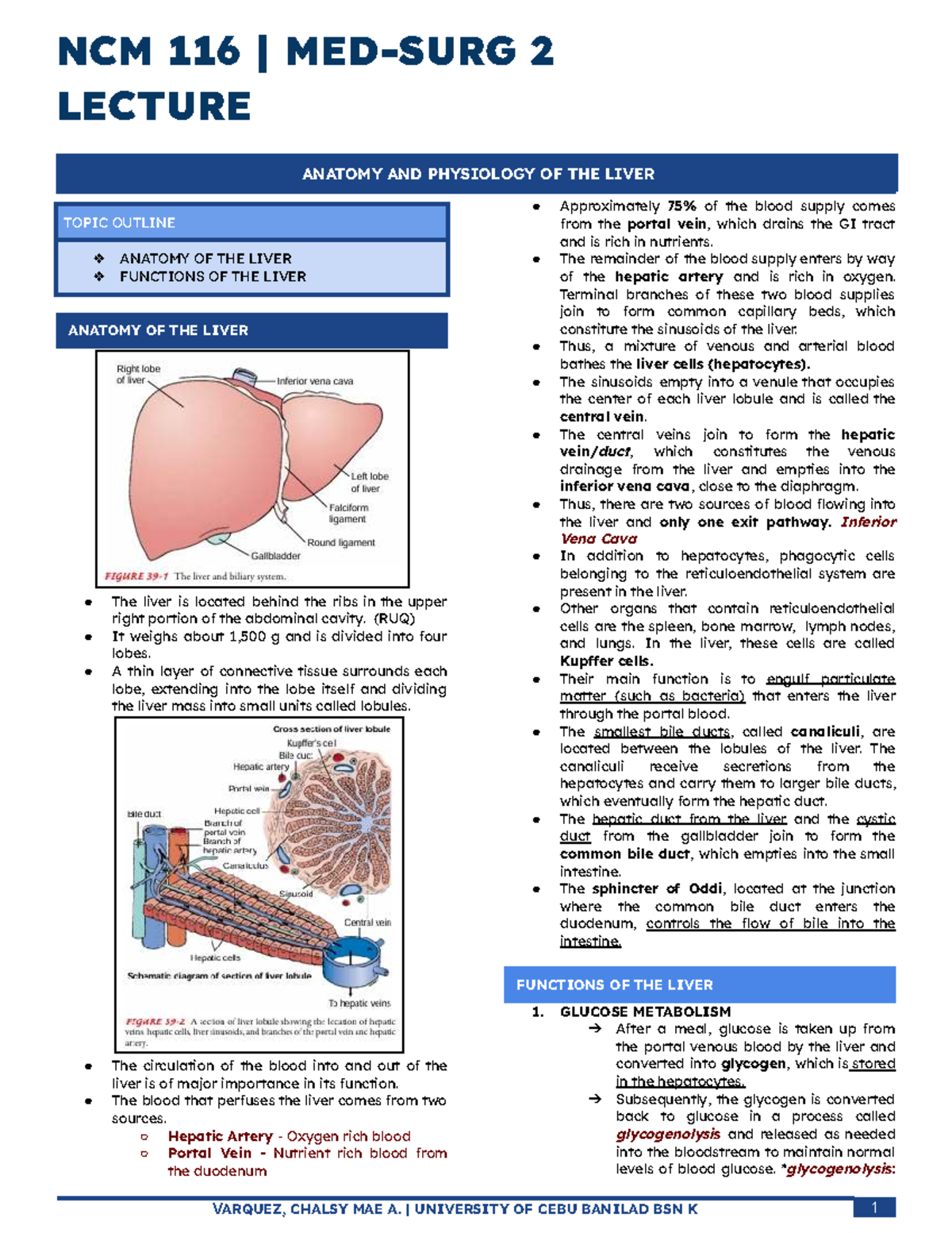 NCM 116 2 LECTURE: ANATOMY & PHYSIOLOGY OF THE LIVER OUTLINE - Studocu
