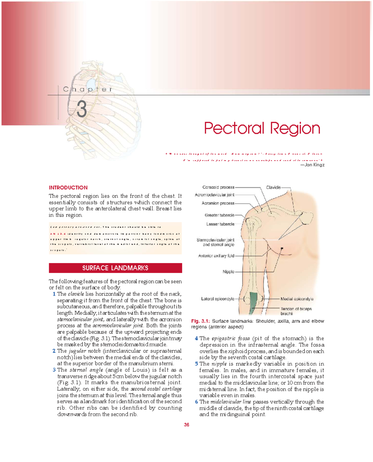 Upper Limb Anatomy (AN 13) - Pectoral Region Overview - Studocu