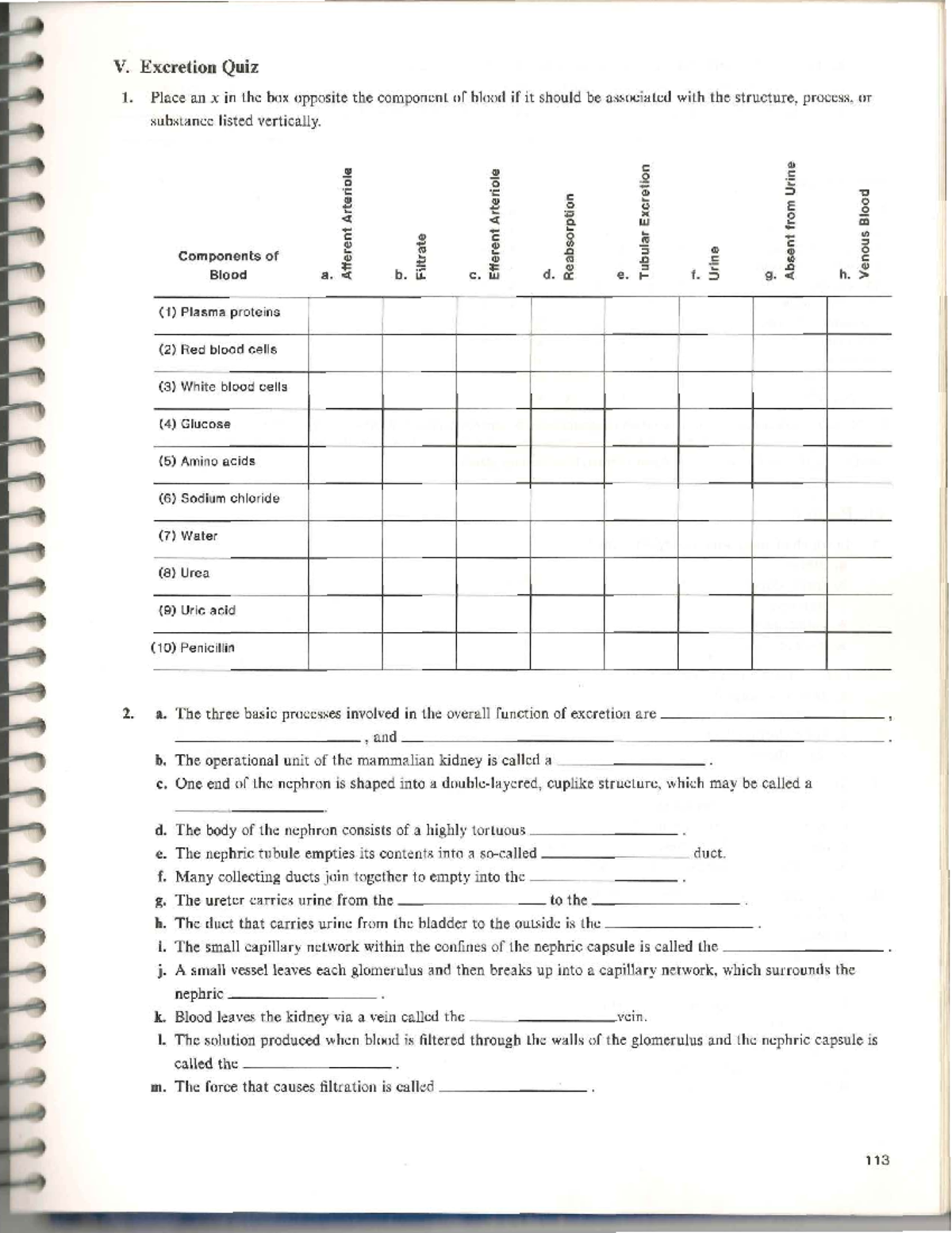 Excretory System Quiz 2 - Study Guide - Studocu