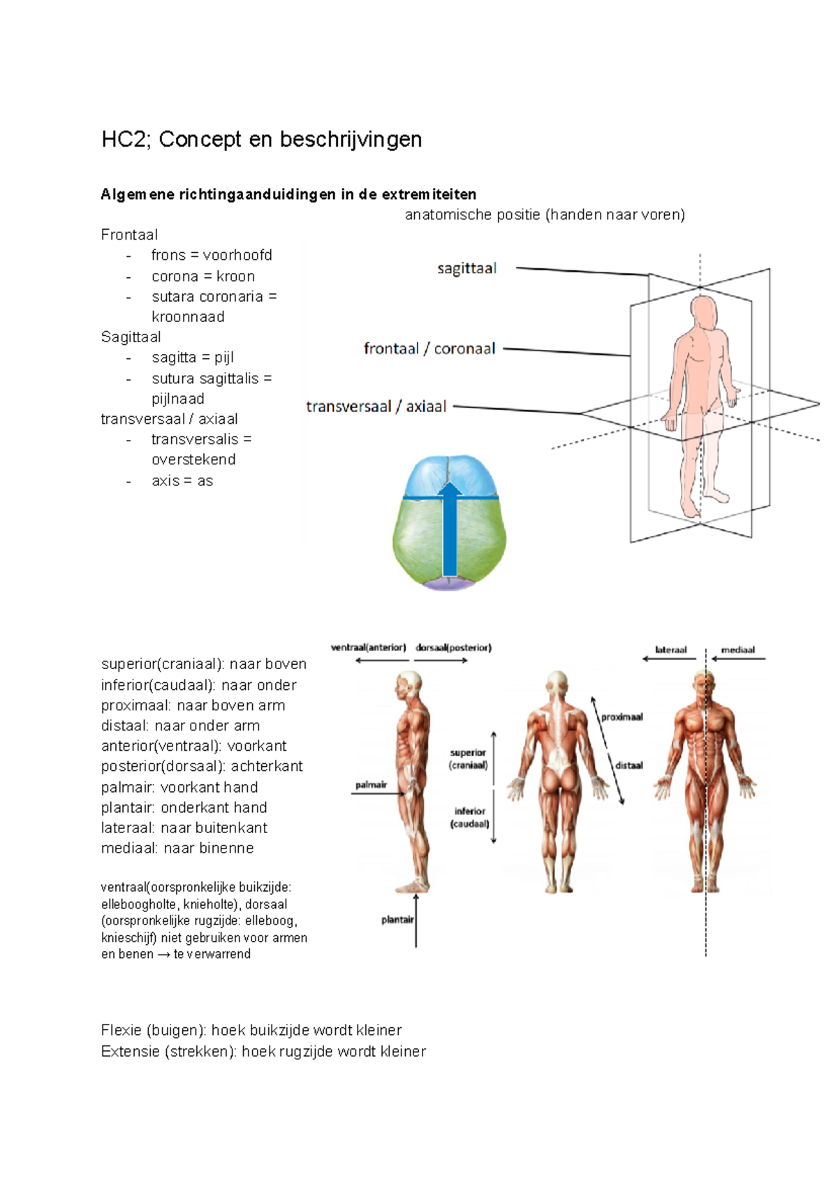 Anatomie - HC2; Concept en beschrijvingen Algemene richtingaanduidingen ...