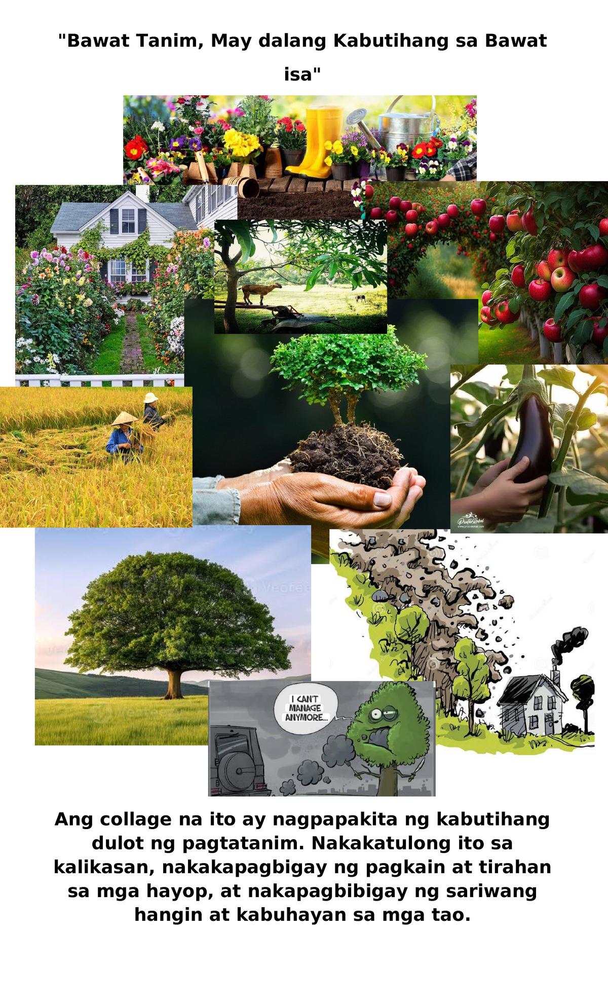 Kabutihang Dulot ng Pagtatanim: Inbound 936591486867328129 - Studocu