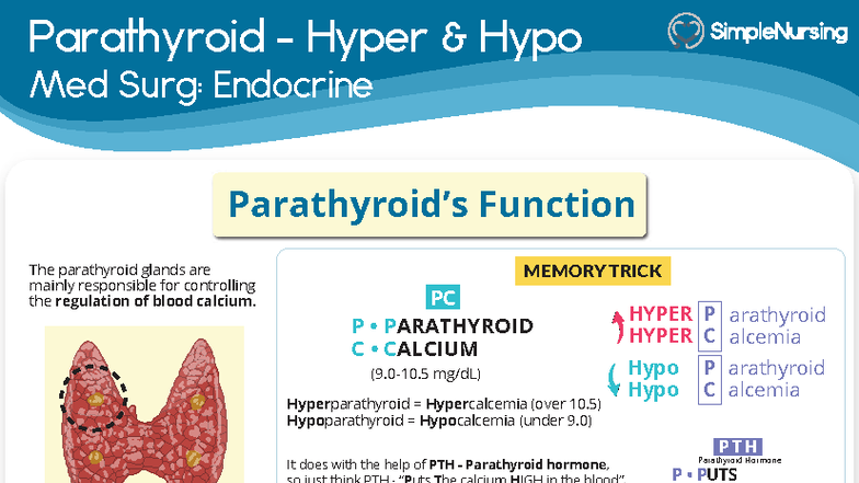 8. Parathyroid Disorders: Hyper & Hypo - Med Surg Study Guide - Studocu
