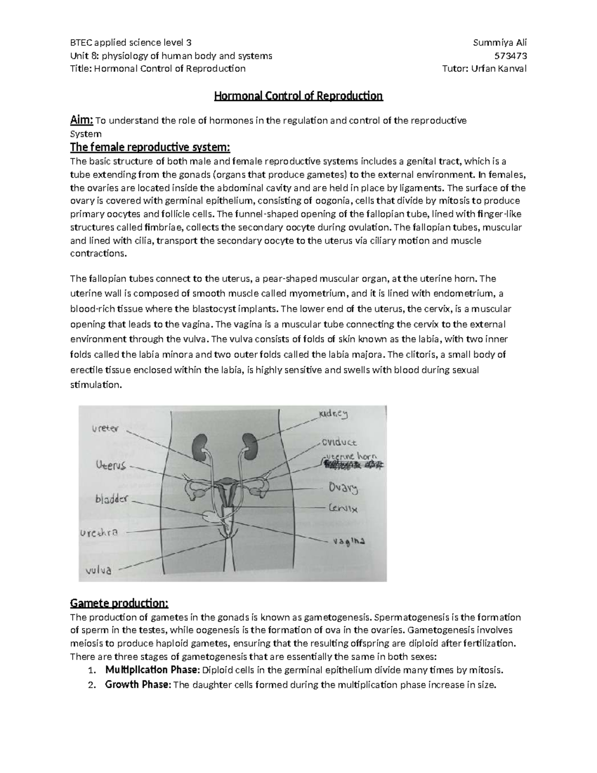 Hormonal Control of Reproduction in Unit 8: Human Physiology 573473 ...