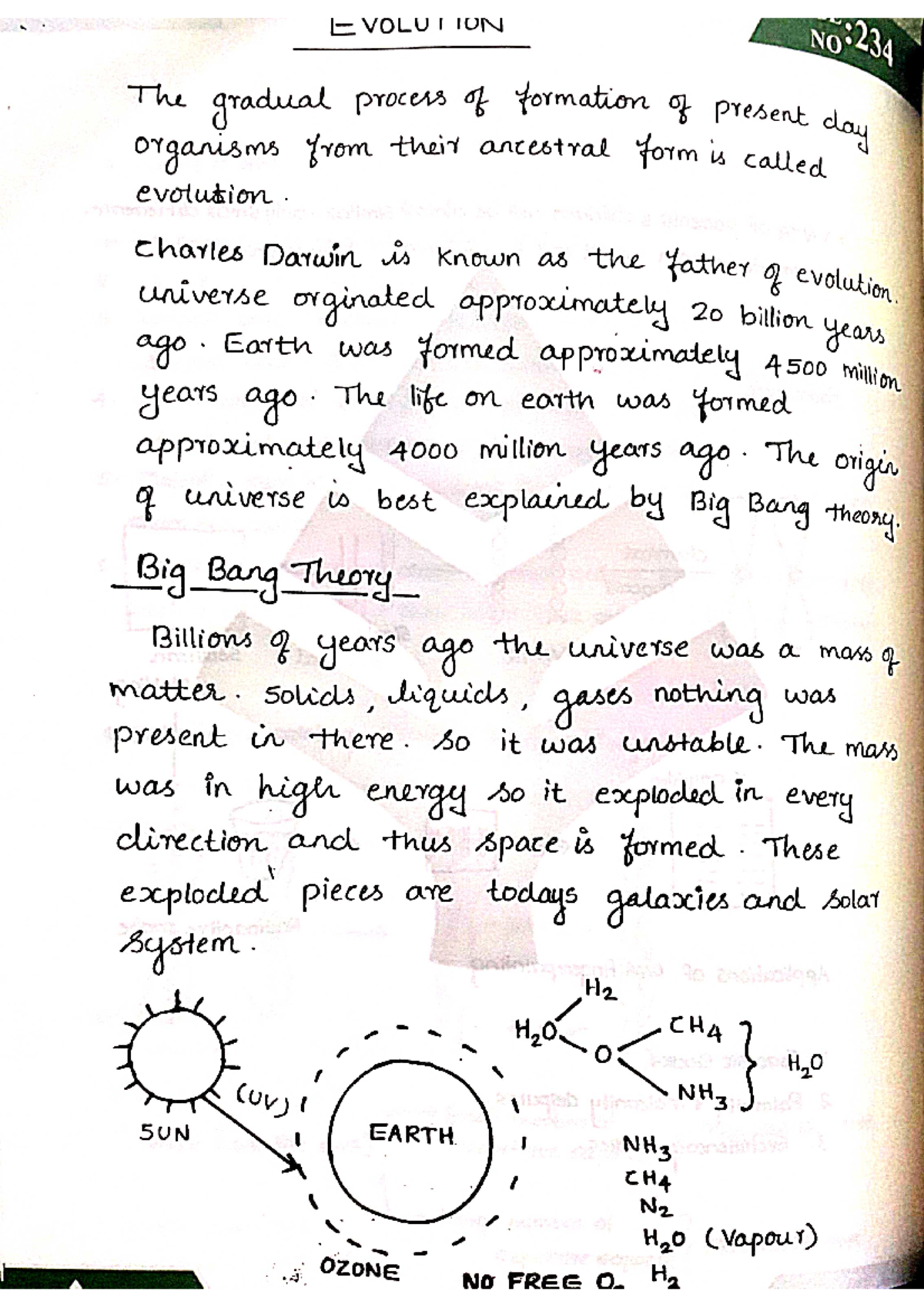Evolution - Lecture notes - plus two botany notes - Studocu