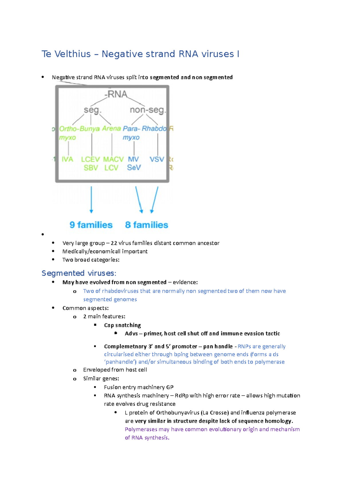 - negative RNA virus - Te Velthius – Negative strand RNA viruses I ...
