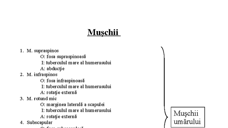 Muşchii: Origine şi Inserţie - 1 43228 1 2 1 - Studocu