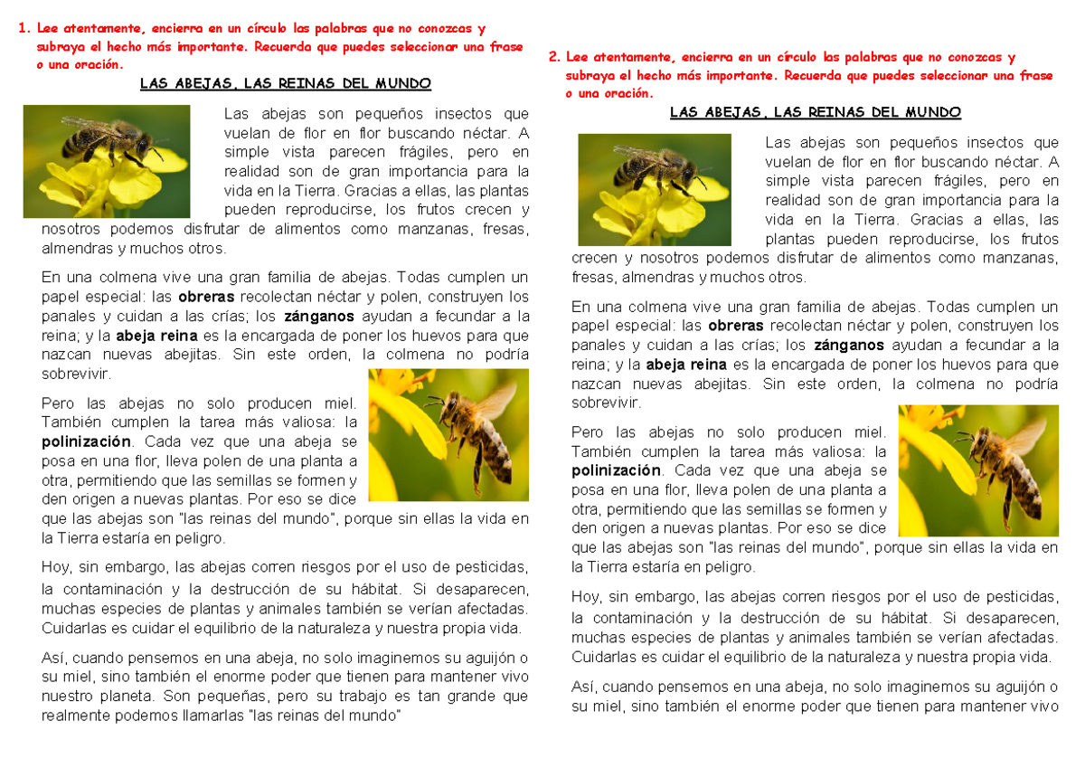 Ficha Plan Lector: Las Abejas, Reinas del Mundo - Studocu