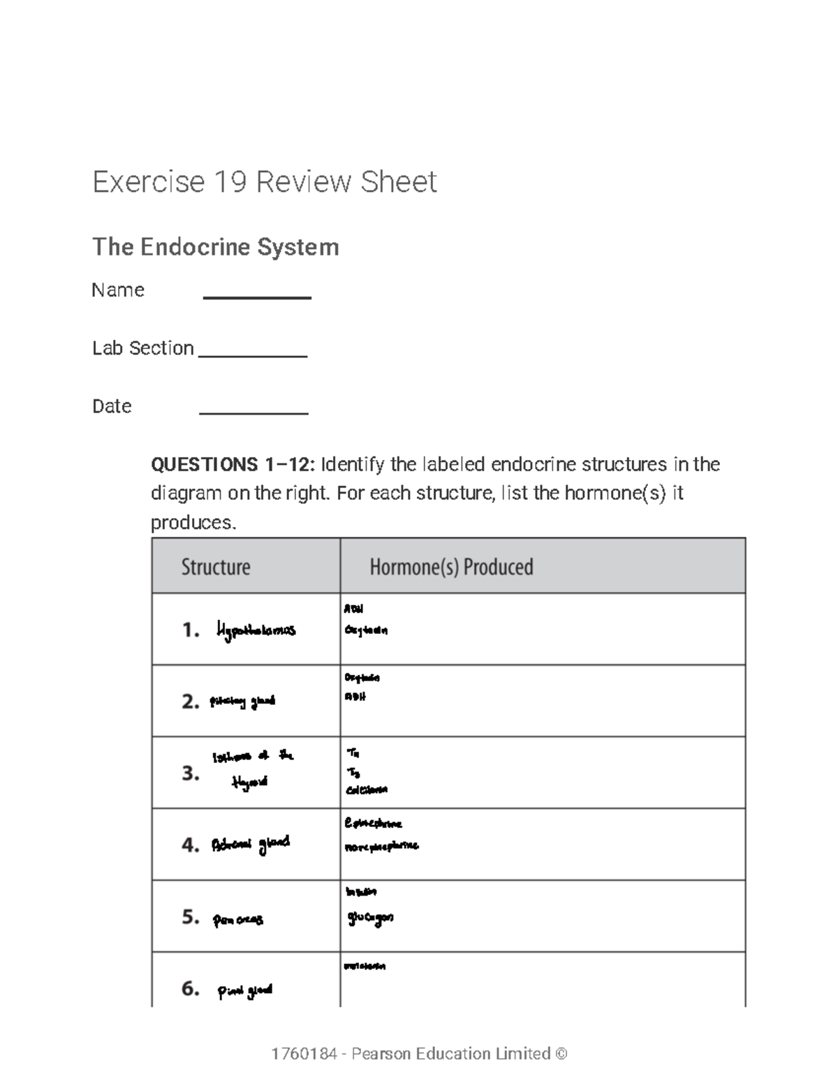 Lab 19 - Endocrine System Structures & Hormones Review Sheet - Studocu