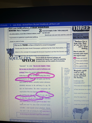 Entomology - Science Olympiad Entomolgy Binder - Family Buprestidae ...