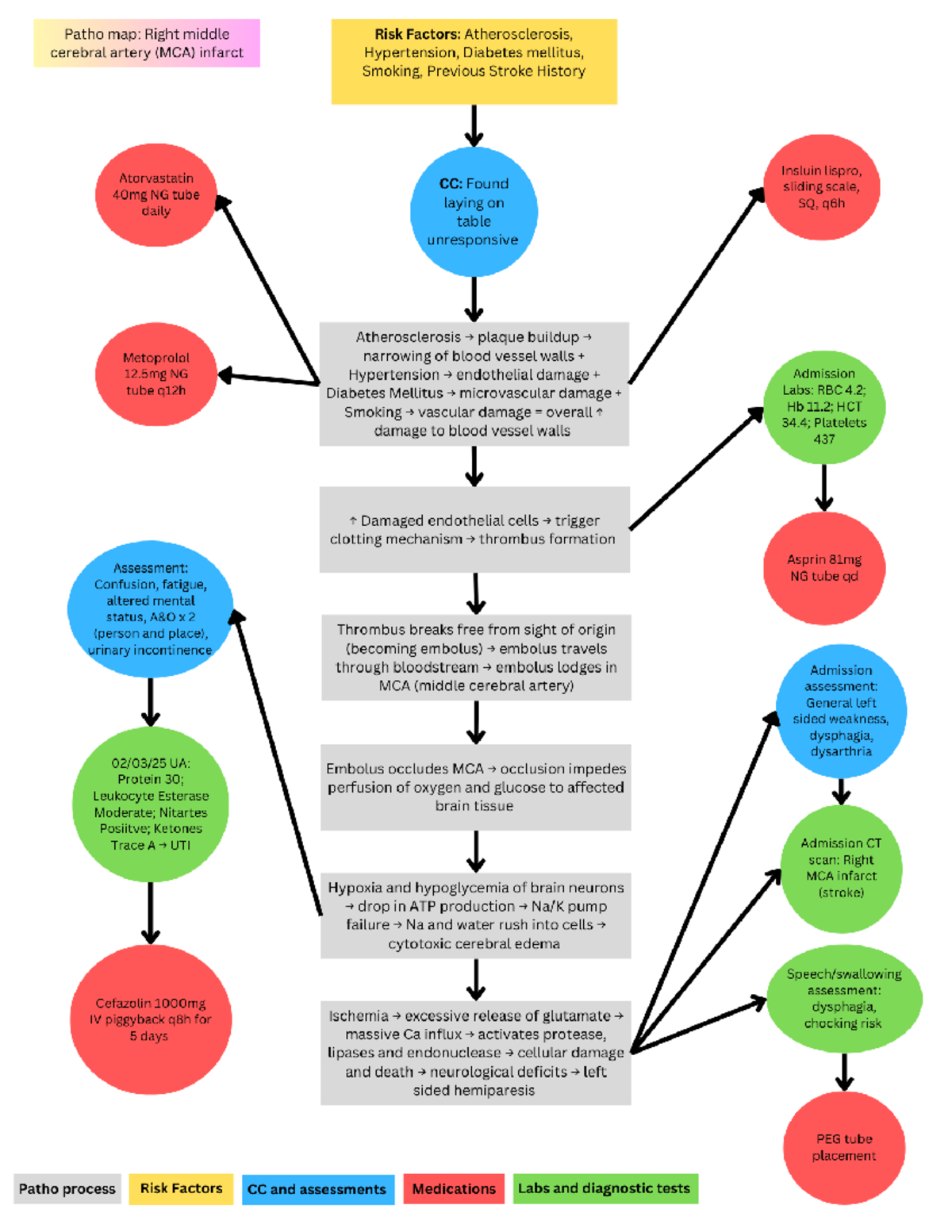 J2 patho map 1 - this is - 3240 NURSING CARE ACROSS THE LIFESPAN ...