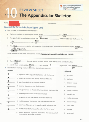 AP - Lab Ex. 02 Review sheet chapter 2 Organ systems overview - BIO 111 ...