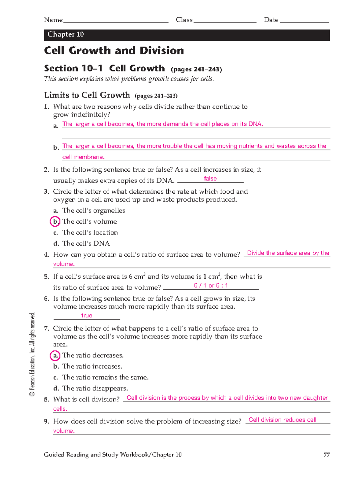 Cell Growth and Division Guided Reading and Study Workbook- Answers ...