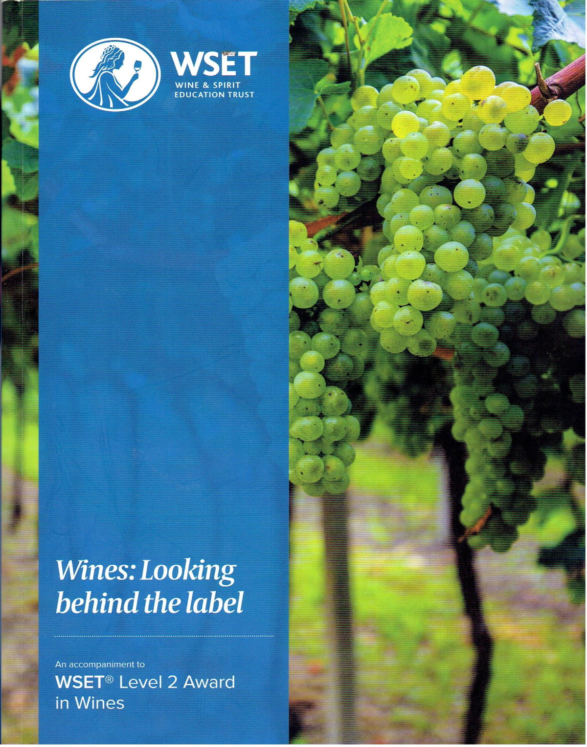 WSET Level 2 Study Guide: Wines - Behind the Label Insights - Studocu
