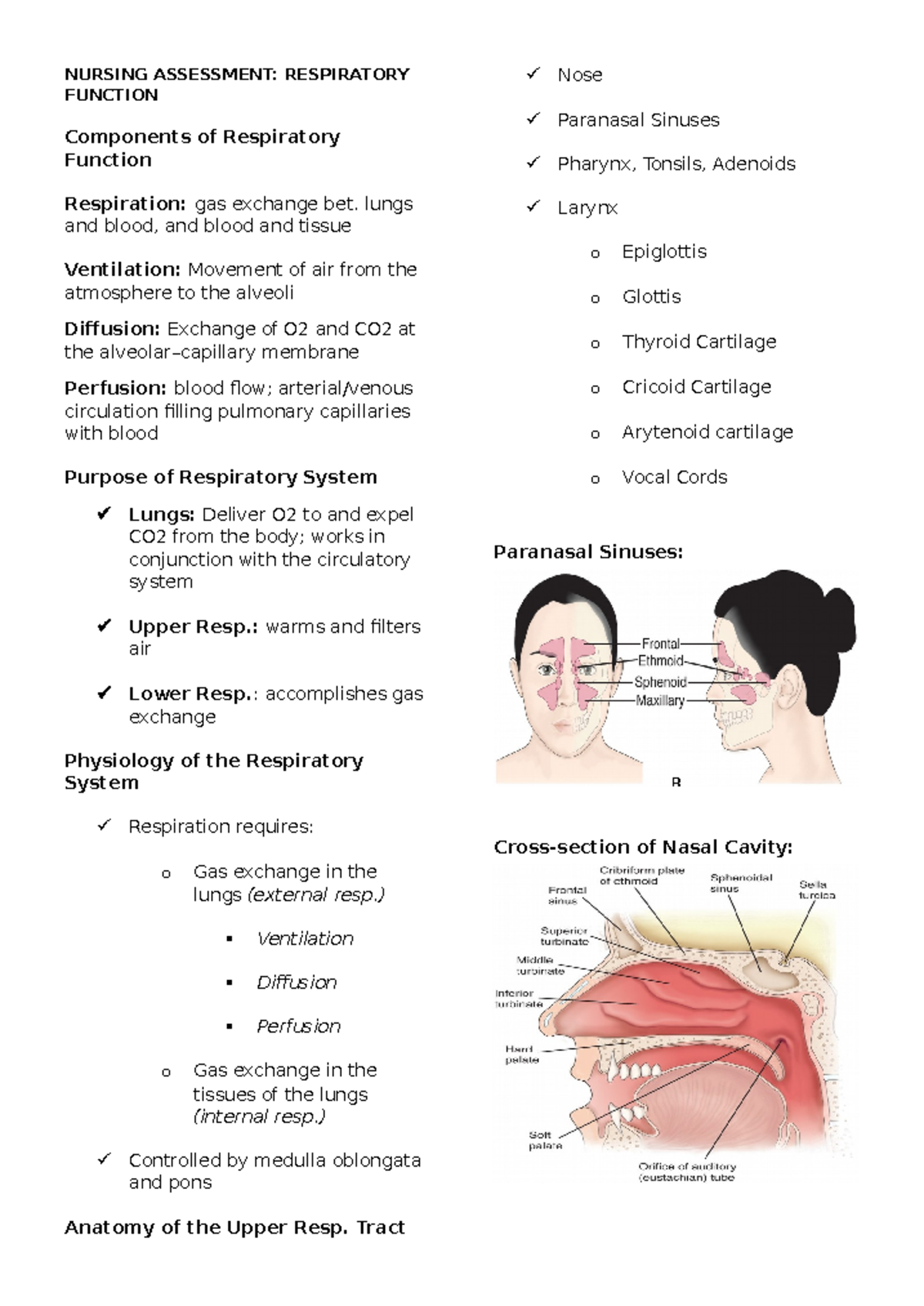 NURS 101: Comprehensive Notes on Respiratory System Assessment - Studocu