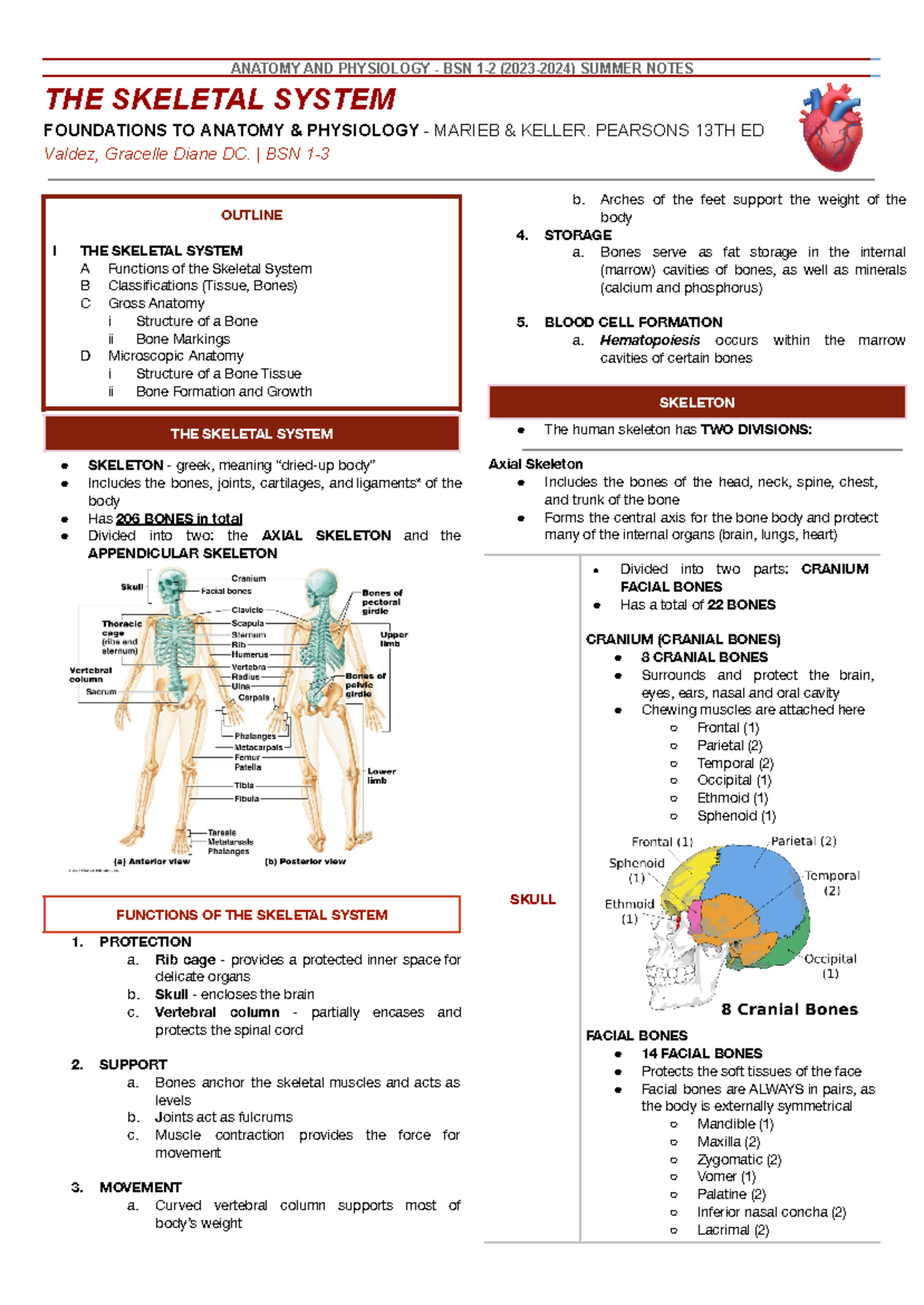 BSN 1 - Anatomy & Physiology: Final Exam Notes on Skeletal System - Studocu