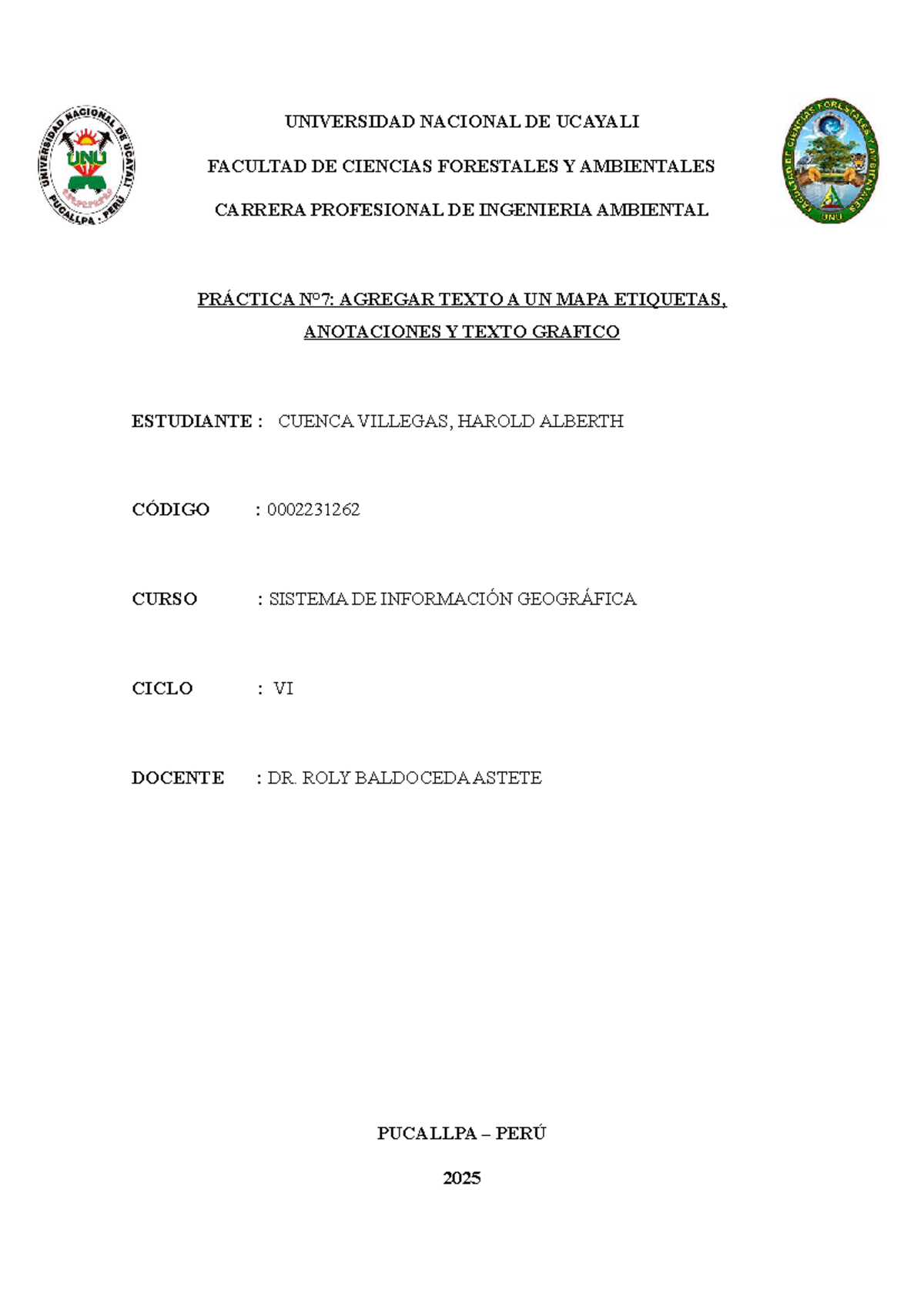 Práctica 7: Generación de Etiquetas en SIG (SIG2025) - Studocu