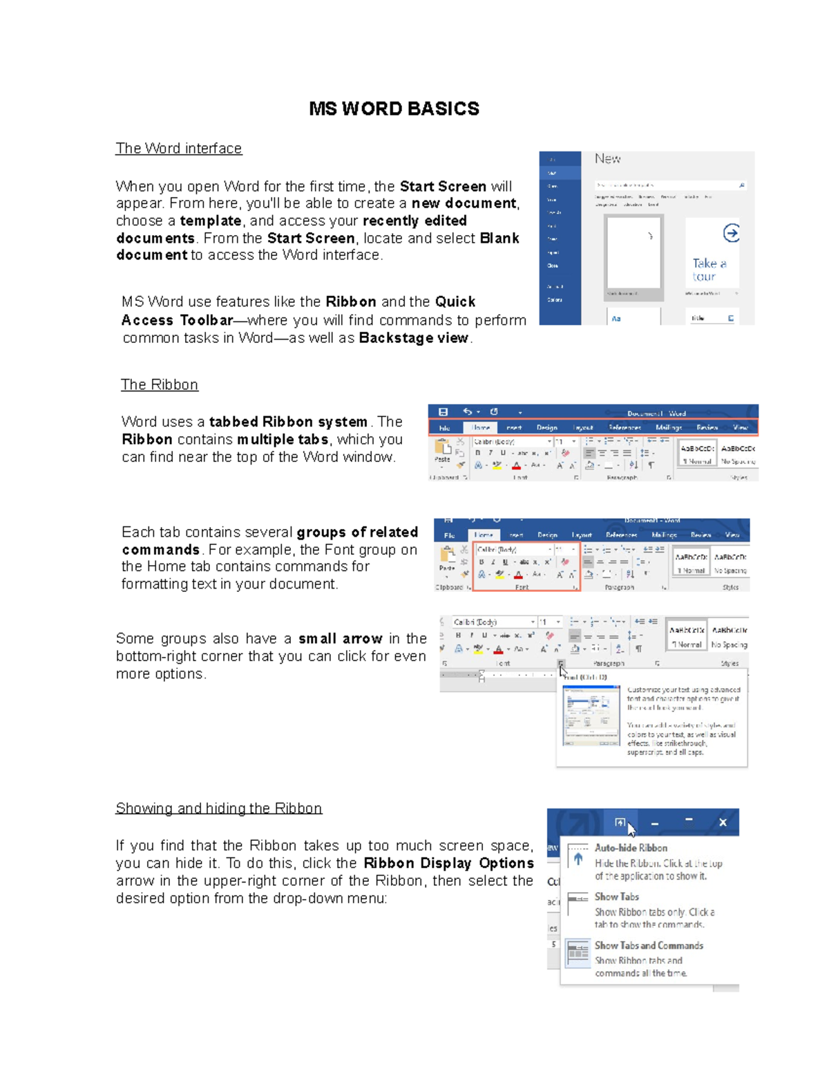 MS WORD Basics: Understanding the Interface and Document Creation - Studocu