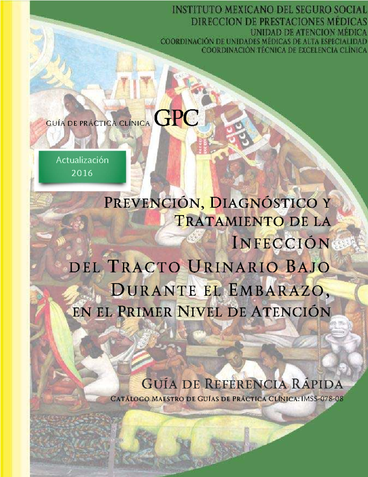 GUÍA DE MANEJO DE IVU EN EL EMBARAZO - GPC 2016 - Studocu