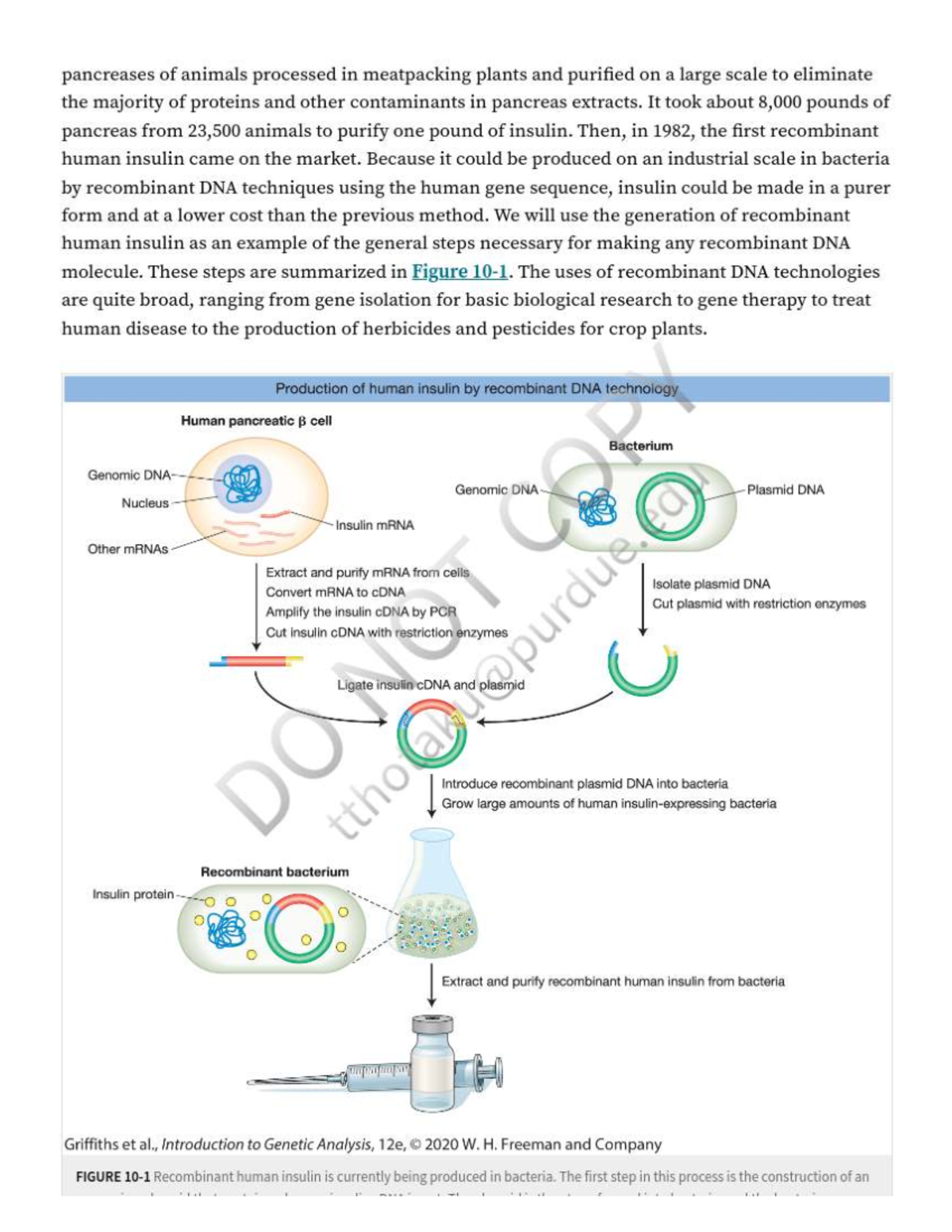 Recombinant DNA Technology and Insulin Production - [Course Code] - Studocu