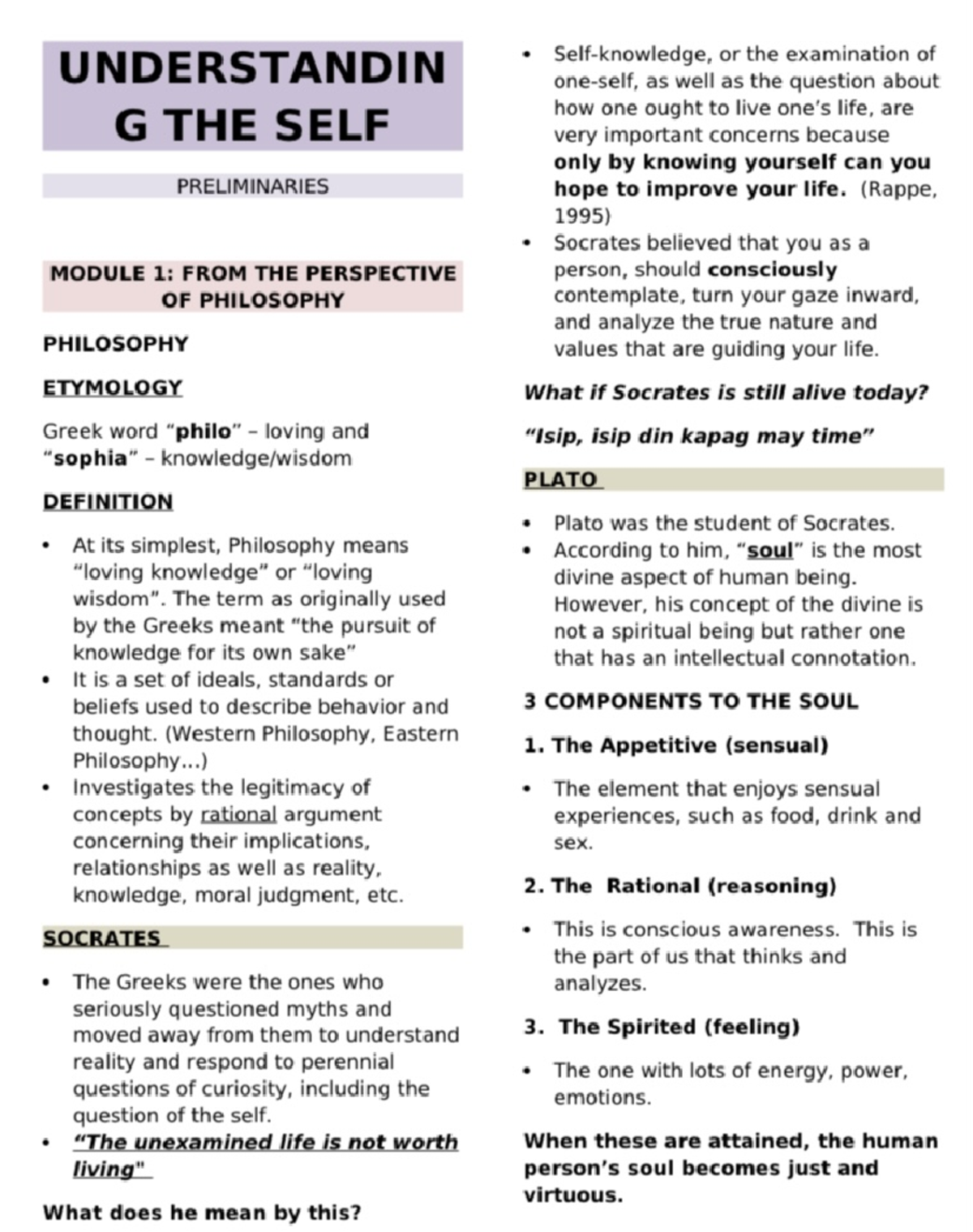Understanding the Self: A Comprehensive Study (PHIL 101) - Studocu