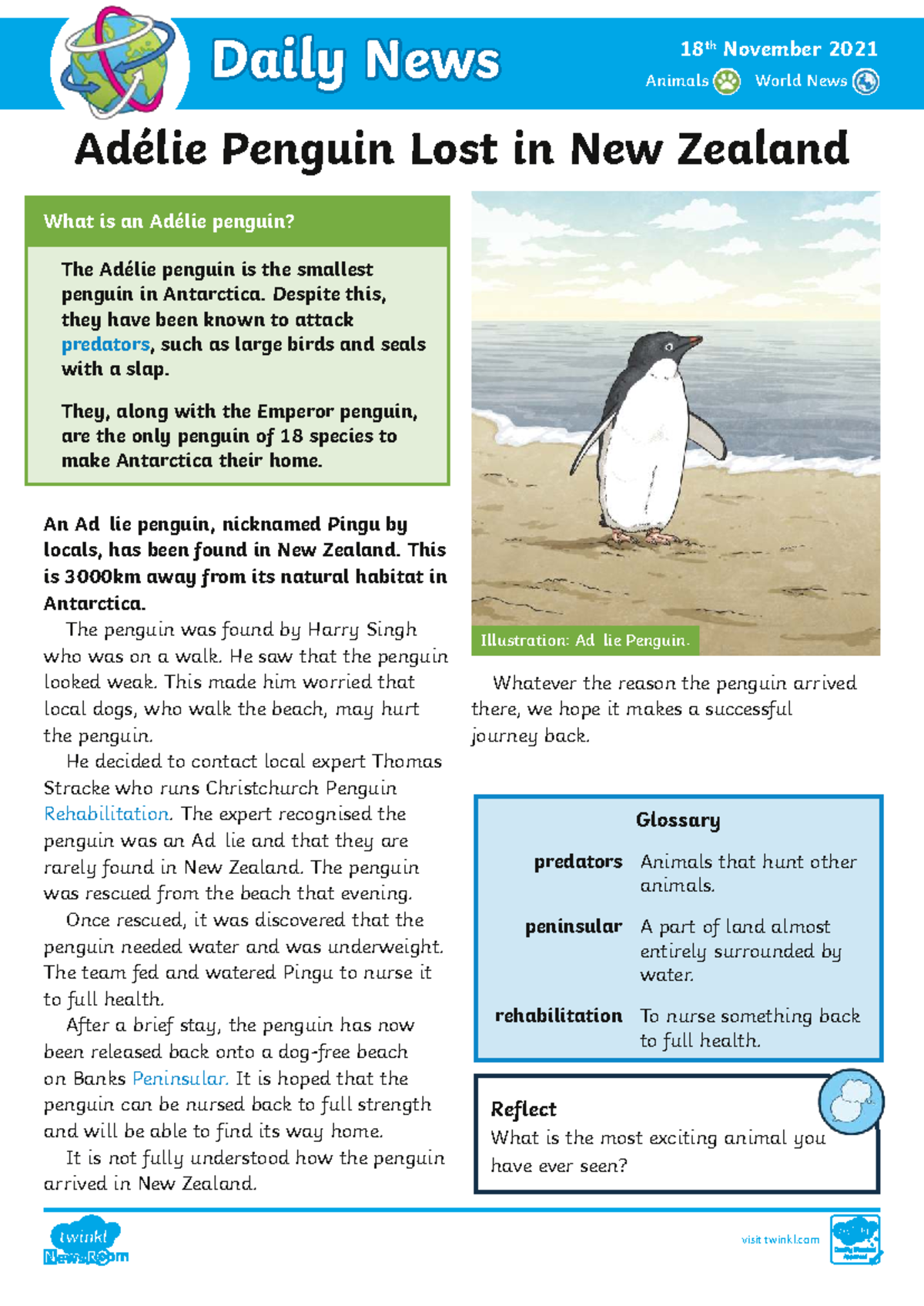 Daily Article: Adélie Penguin Rescue in New Zealand - LKS2 (7-9) - Studocu