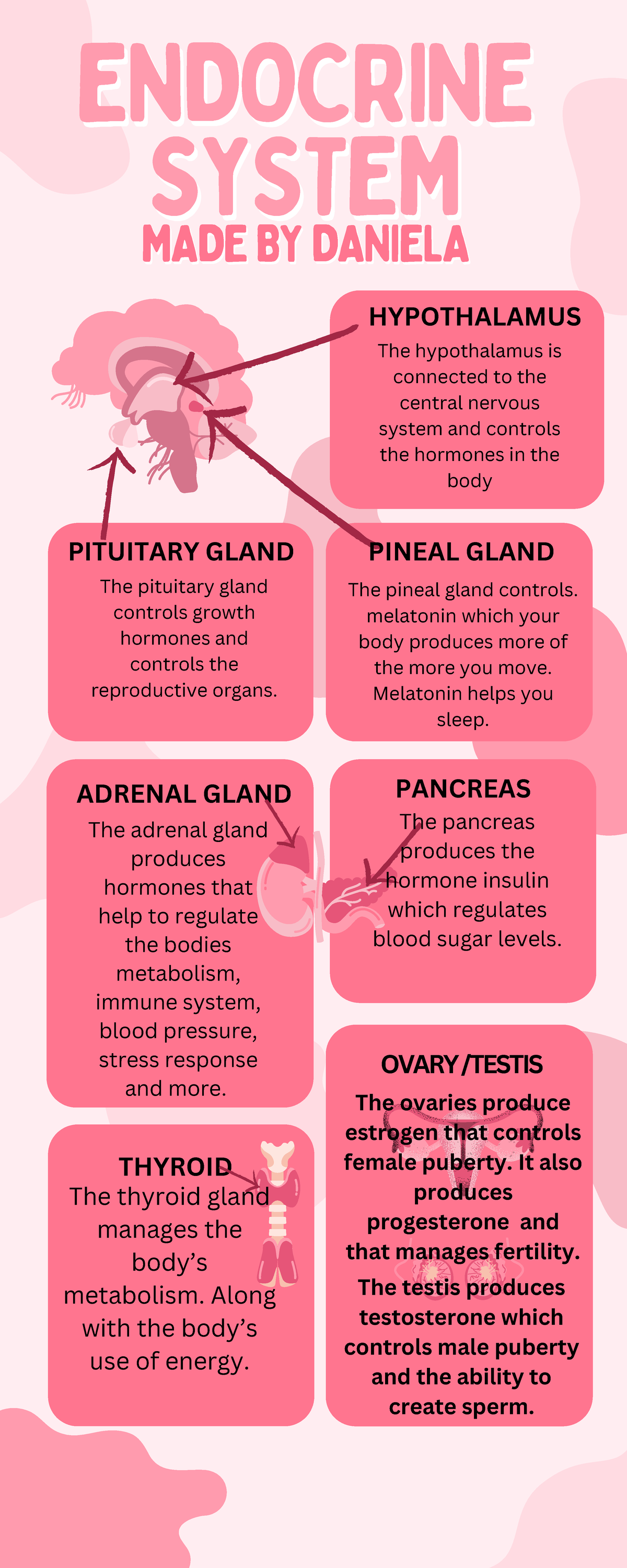 Daniela's Endocrine System Infographic - ENDOCRINEENDOCRINE SYSTEM ...