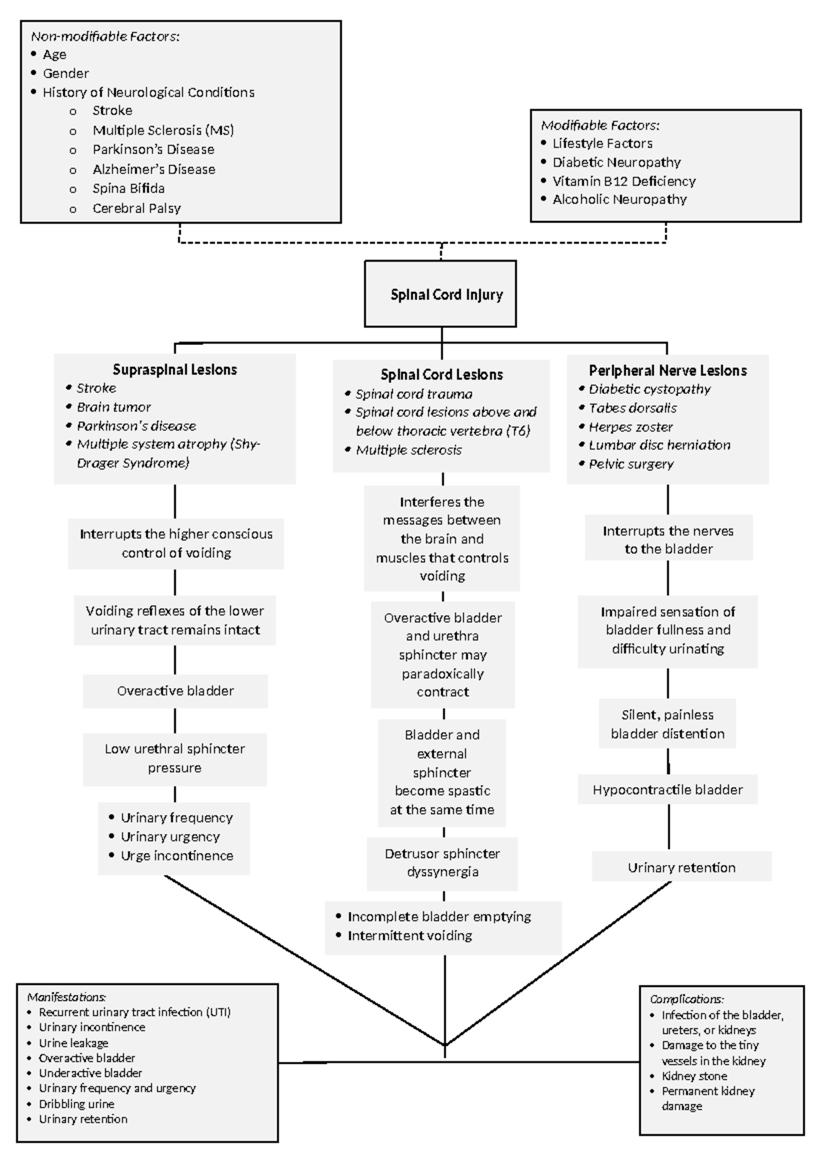 Neurogenic Bladder: Factors, Manifestations, and Complications - Studocu