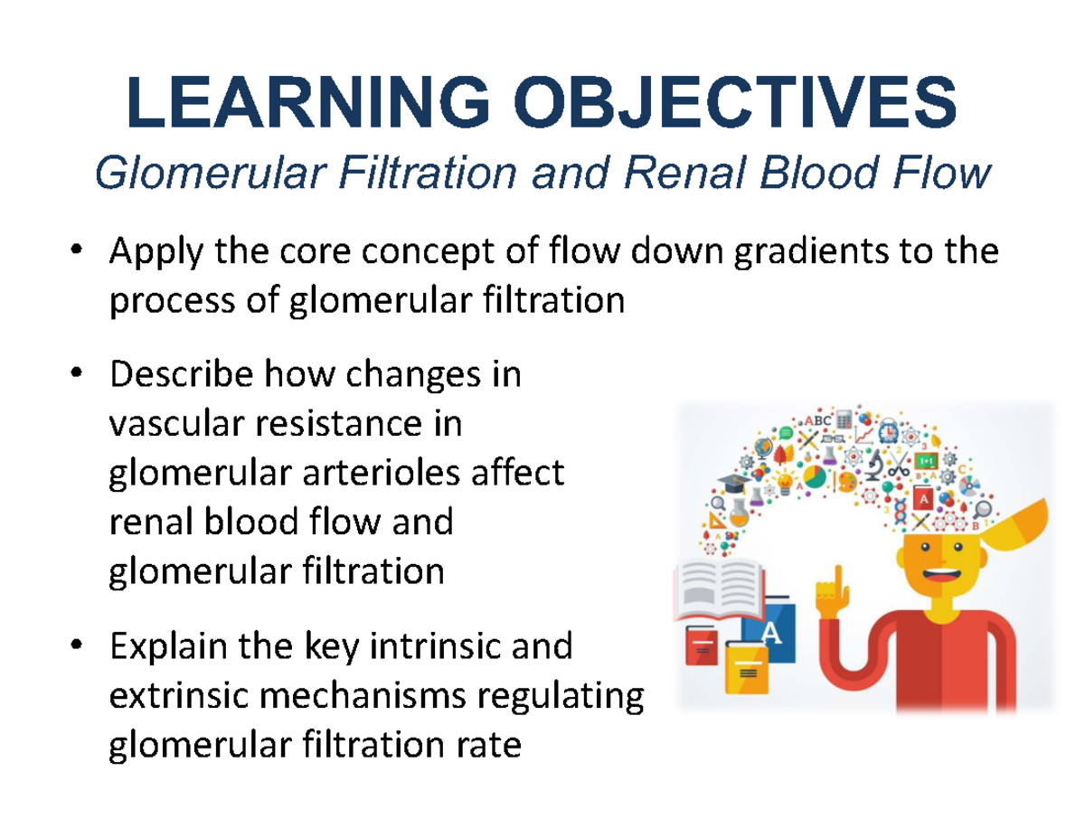 LECTURE #18 - Glomerular Filtration and Renal Blood Flow Concepts - Studocu