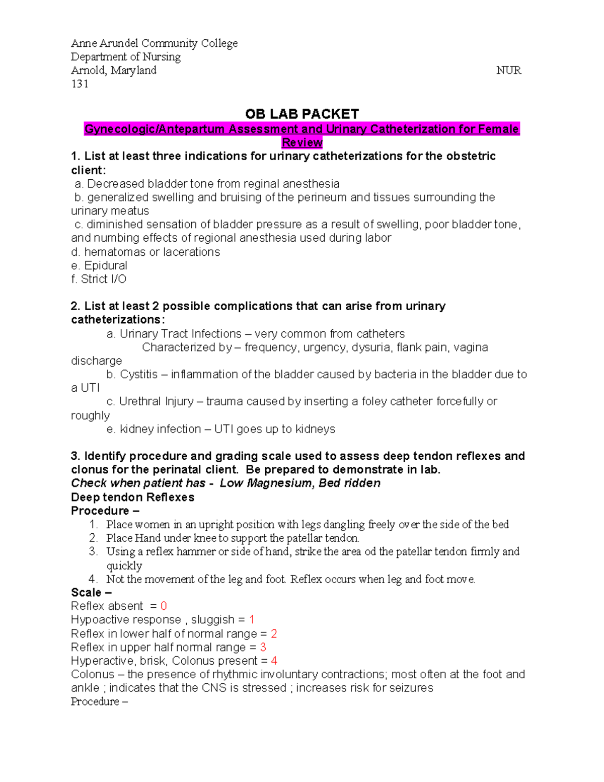 NUR 131 OB Lab Packet: Urinary Catheterization & Newborn Assessment ...