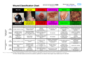 Ch 14 study guides - overview ch 14 potter and Perry - Gerontological ...