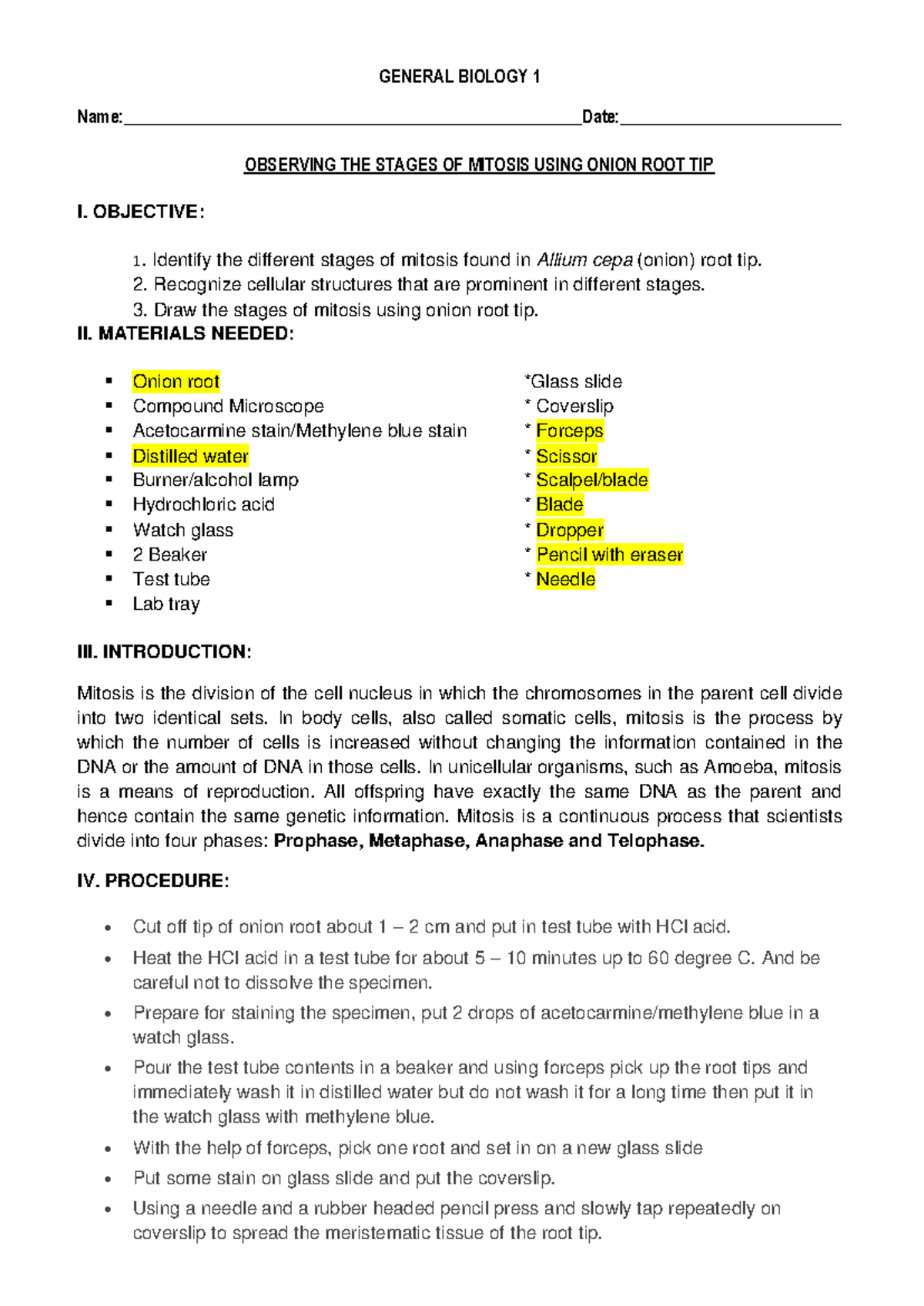 BIO 101 Lab Act #2: Observing Mitosis Stages in Onion Root Tips - Studocu