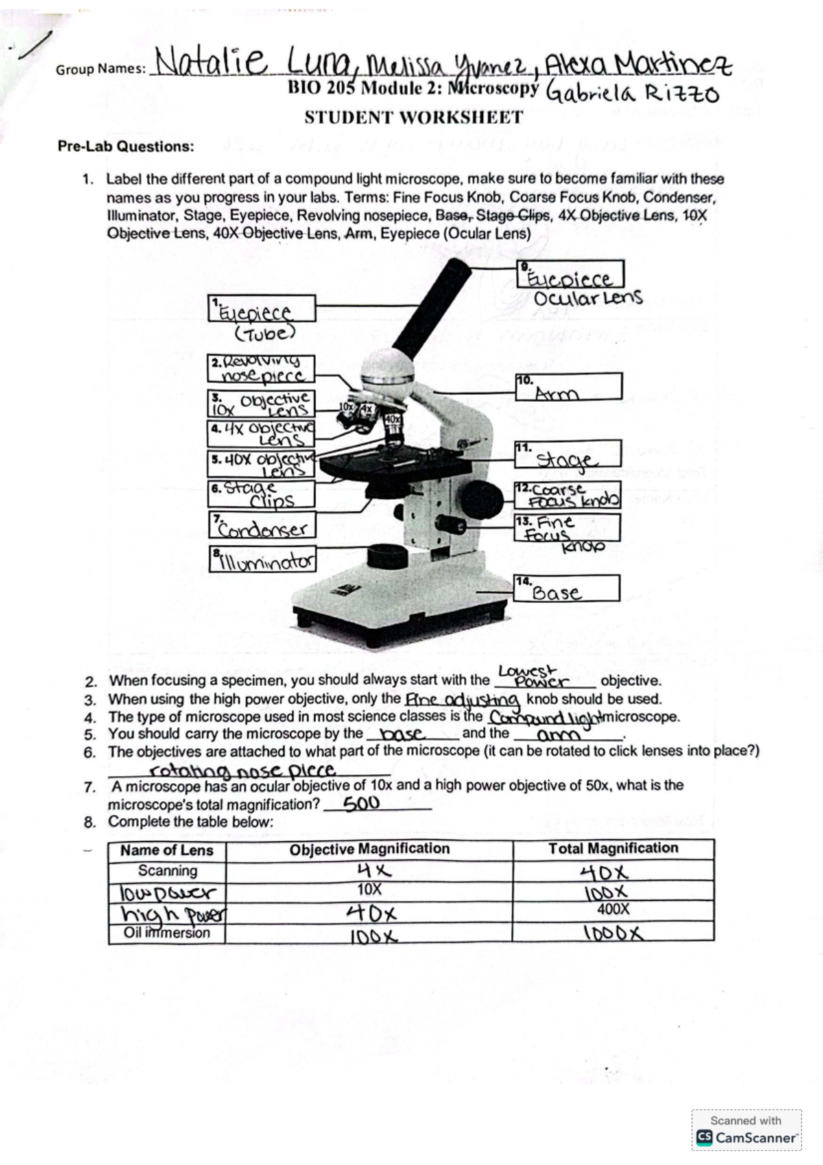 BIO 205 Module 2: Microscopy & Microbial Techniques Student Worksheet ...