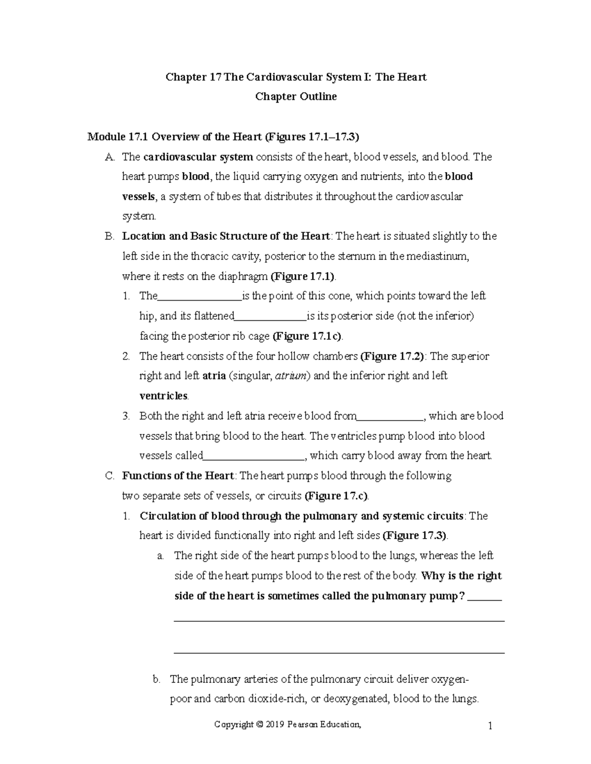 Chapter 17 Cardiovascular System I: The Heart - Study Guide - Studocu