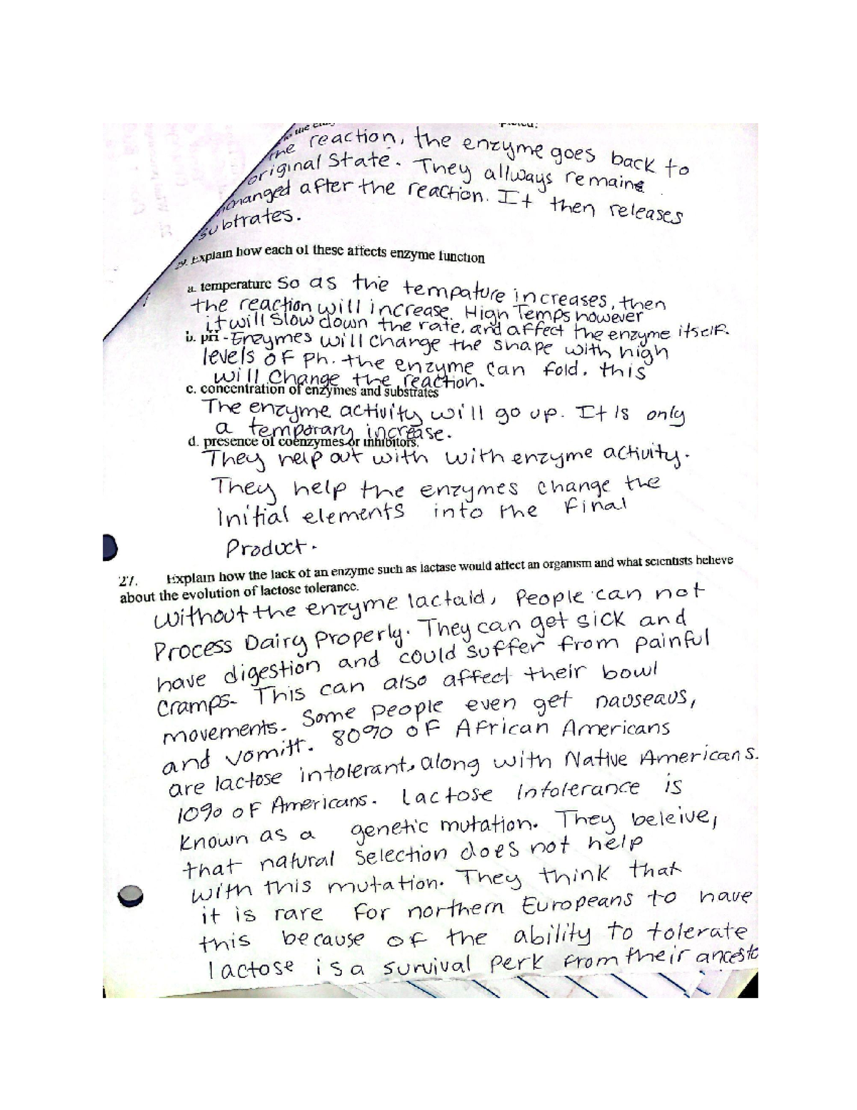 BIO 101 Lecture Notes: Enzymes - Function and Lactose Intolerance - Studocu