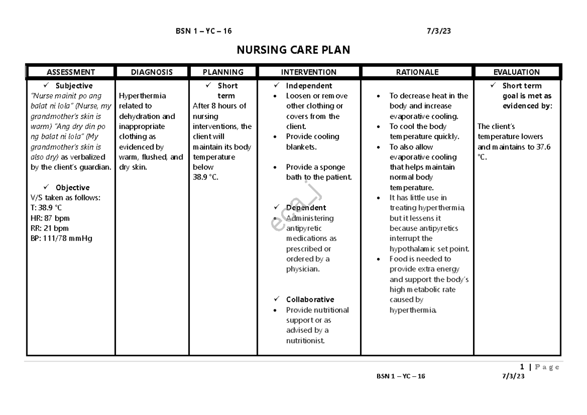 Nursing Care Plan for Fever and Fluid Volume Deficiency: BSN 1 Course ...