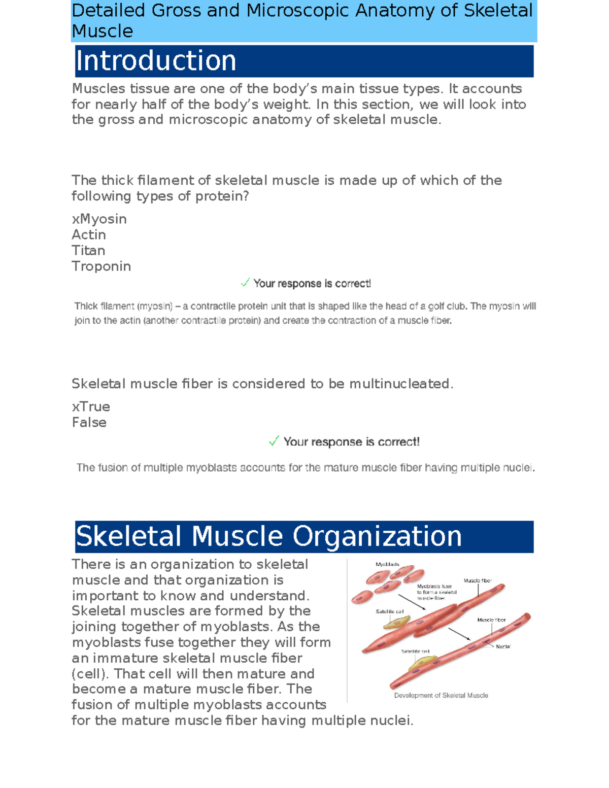Detailed Anatomy of Skeletal Muscle: Gross and Microscopic Insights ...