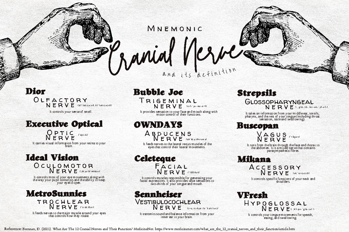 Mnemonic of 12 Cranial Nerves; Molina, Ricardo, Jr. B - Cranial Nerve M ...