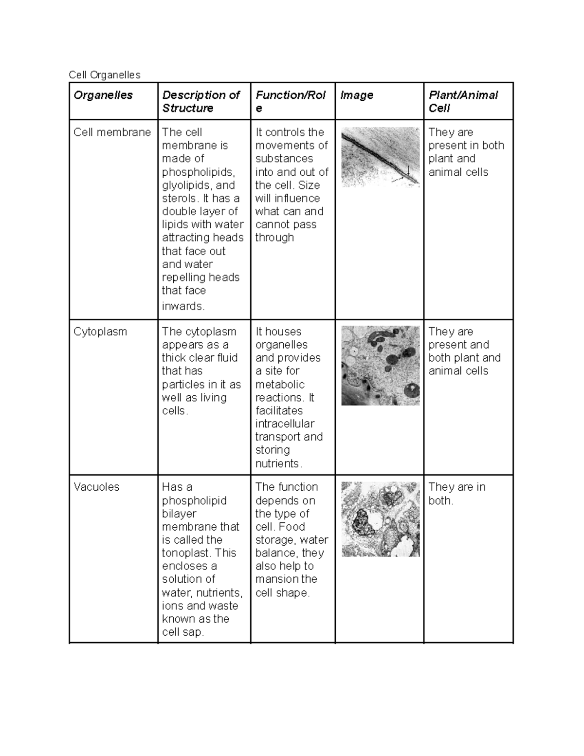Cell Organelles (BIO101) - Structure and Function Overview - Studocu