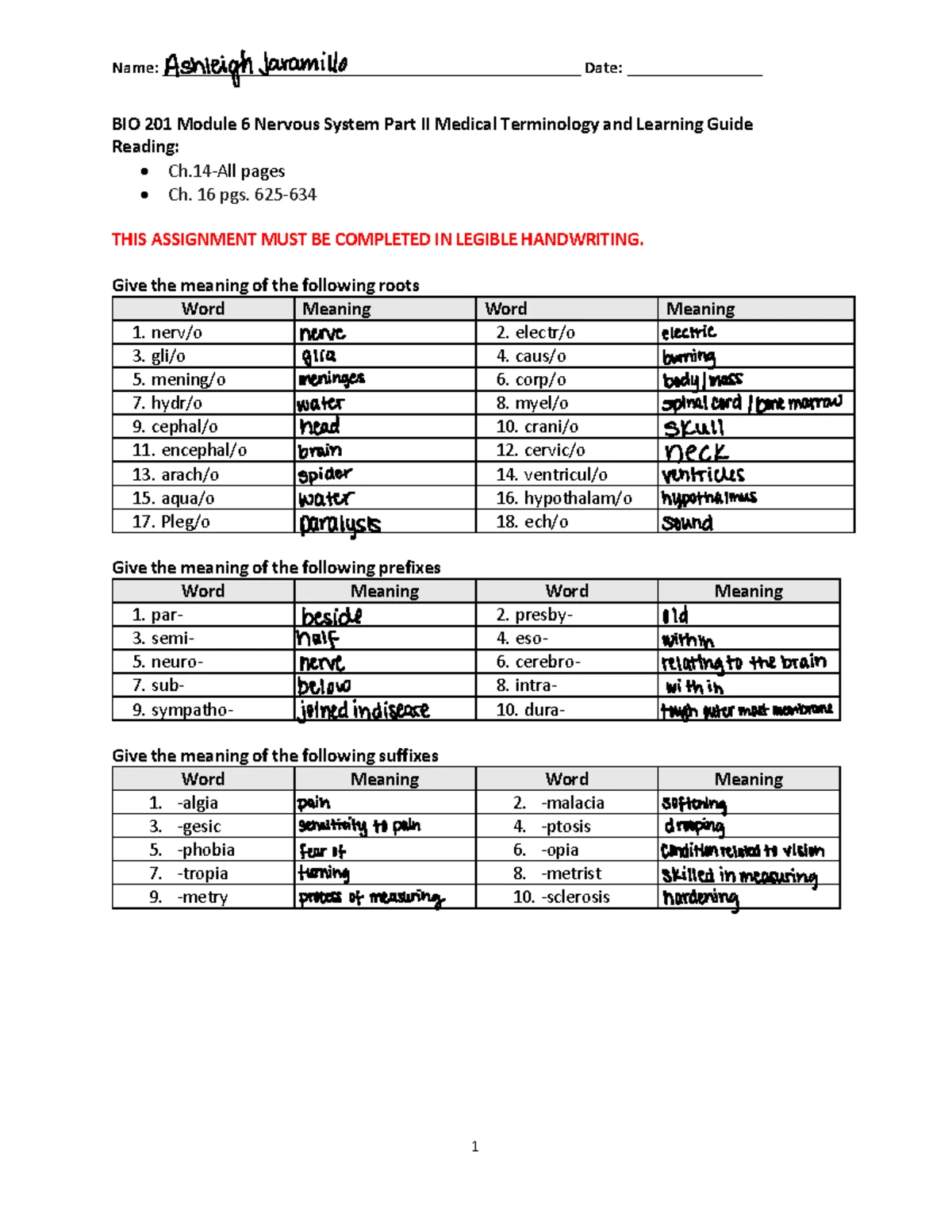 BIO 201 Module 5 Nervous System Learning Guide & Medical Terms Summary ...