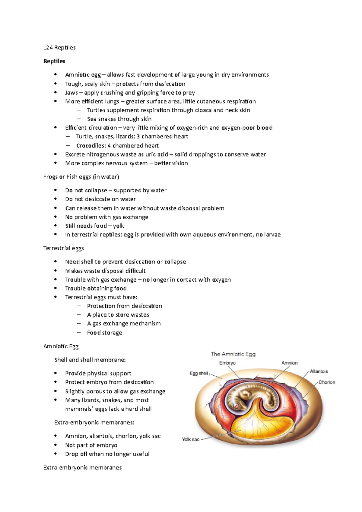 Lecture 24 Reptiles Notes from Powerpoint - L24 Reptiles Reptiles ...